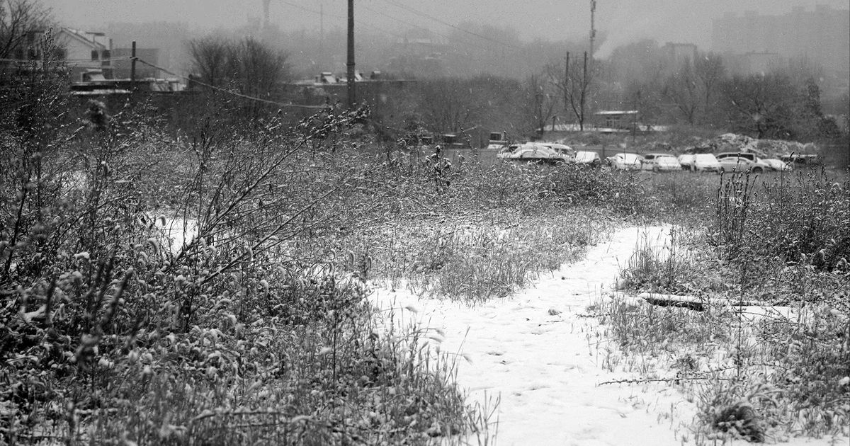 Empty Nest - PhMuseum