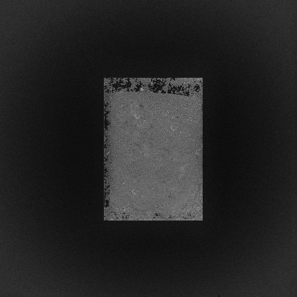 A Photographic Critique of Visual Information - PhMuseum