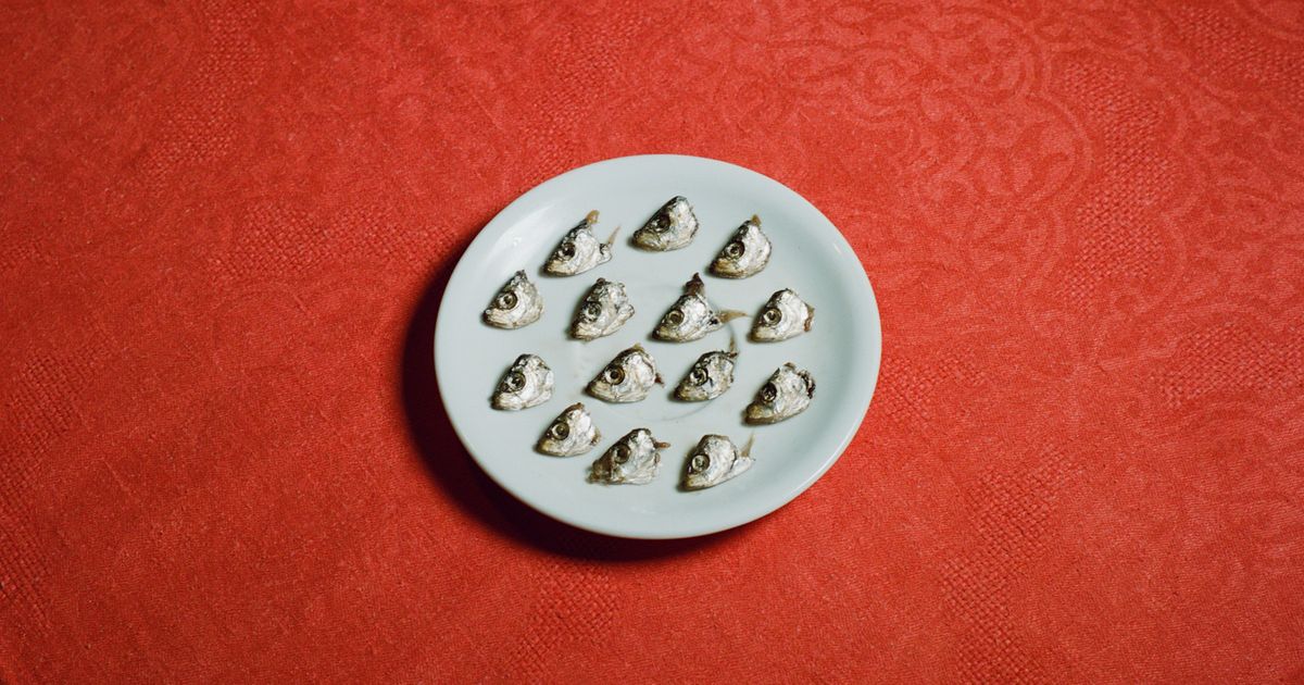 Wander Lines - PhMuseum