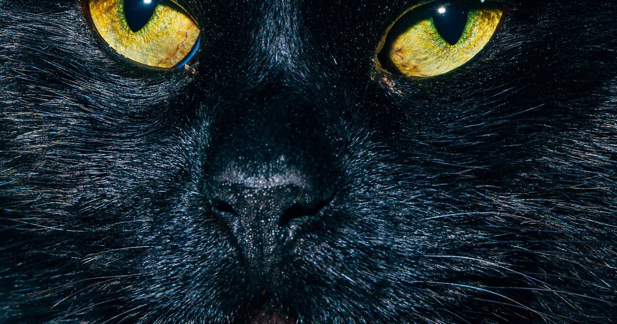 A Guide To June 2026 Photography Festivals & Exhibitions - PhMuseum