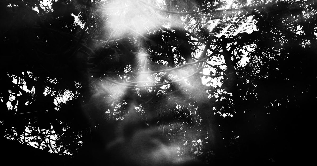 hunting shadows - PhMuseum
