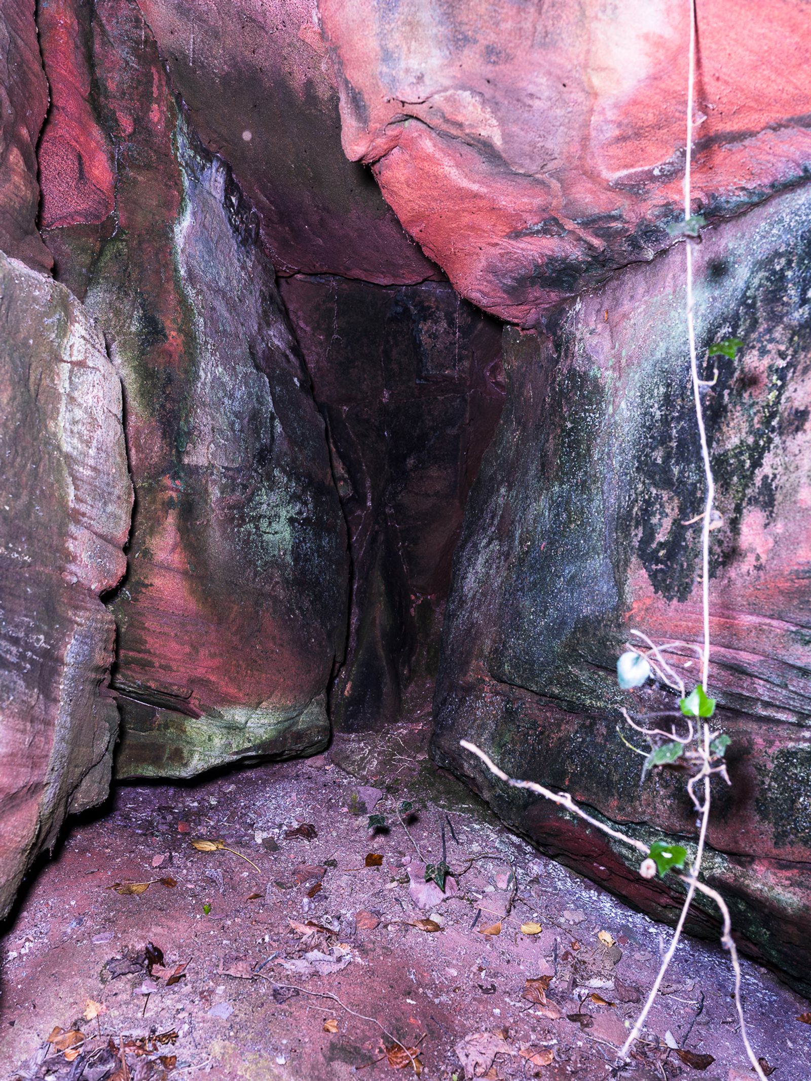 Photographer Jack Lander Questions the Unreliability of Photography and ...