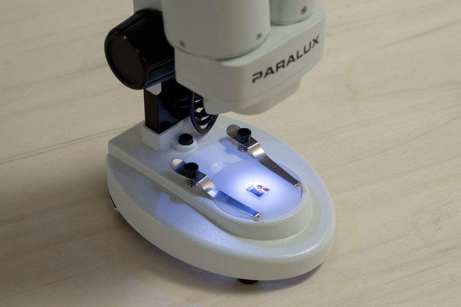 Visual Artist Fabiola Cedillo on Presenting Her Work at PhMuseum Days 2021 International ...