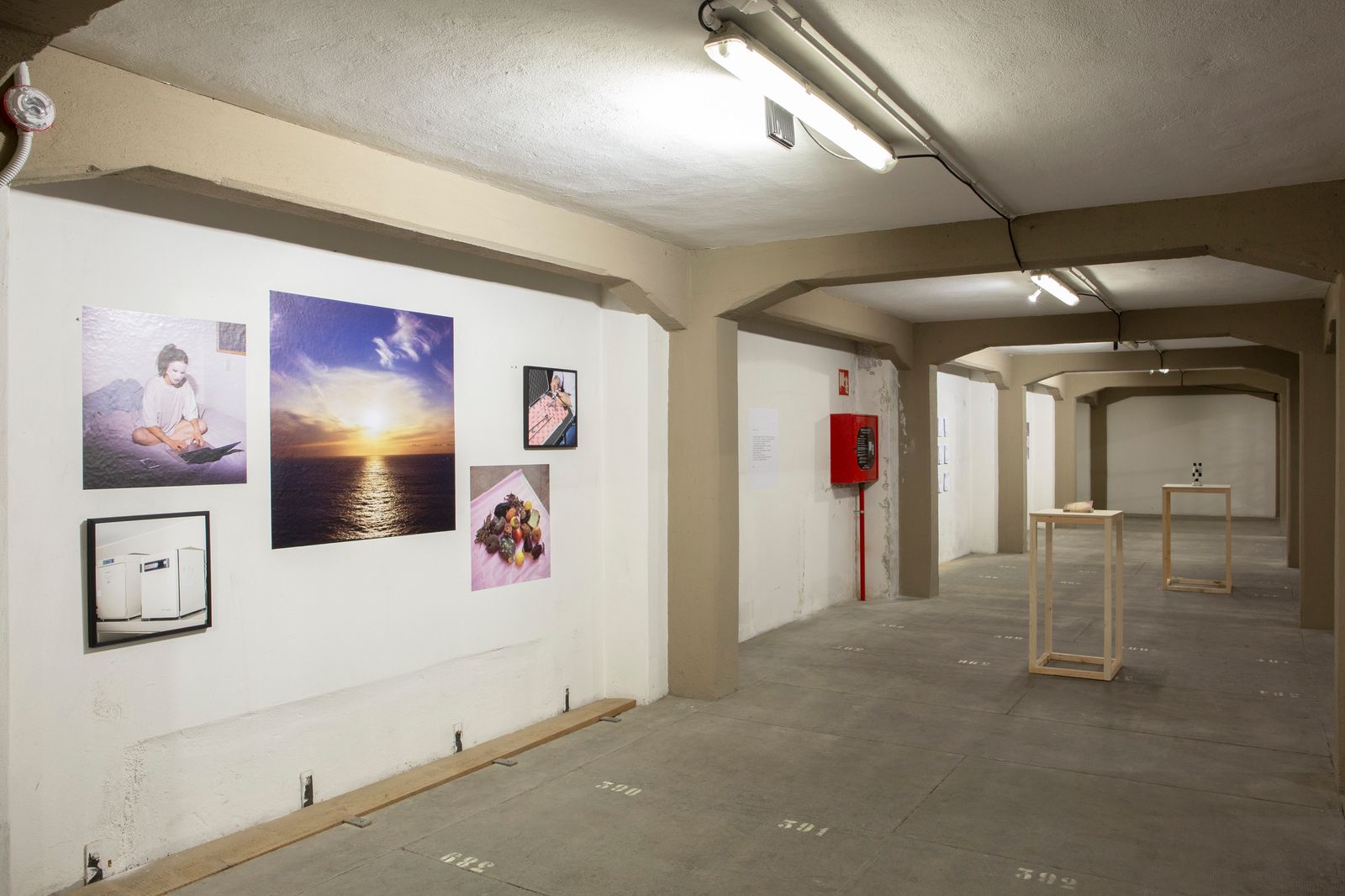 Visual Artist Fabiola Cedillo on Presenting Her Work at PhMuseum Days ...