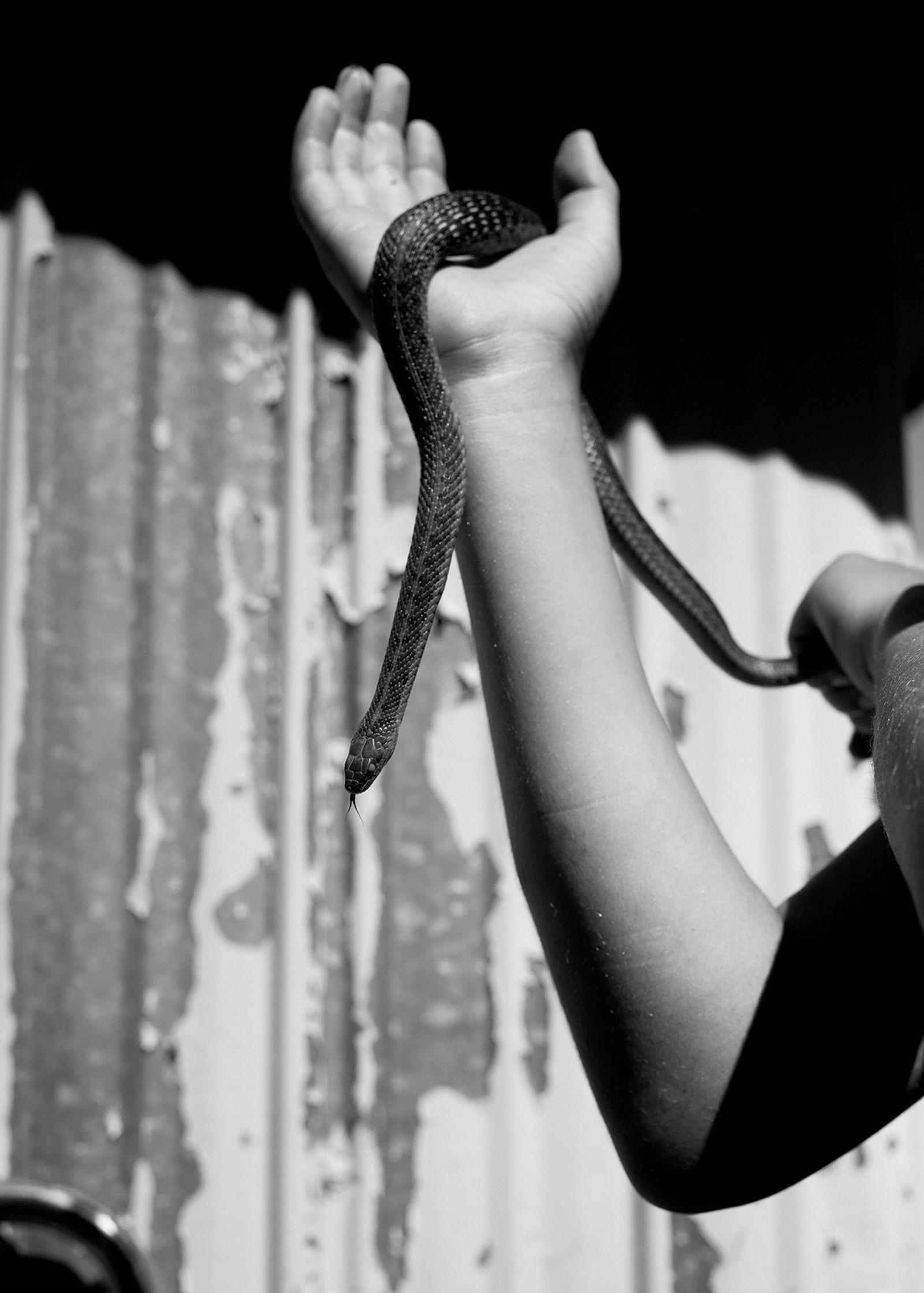 A Connection with Nature Through Intimate Motifs - PhMuseum