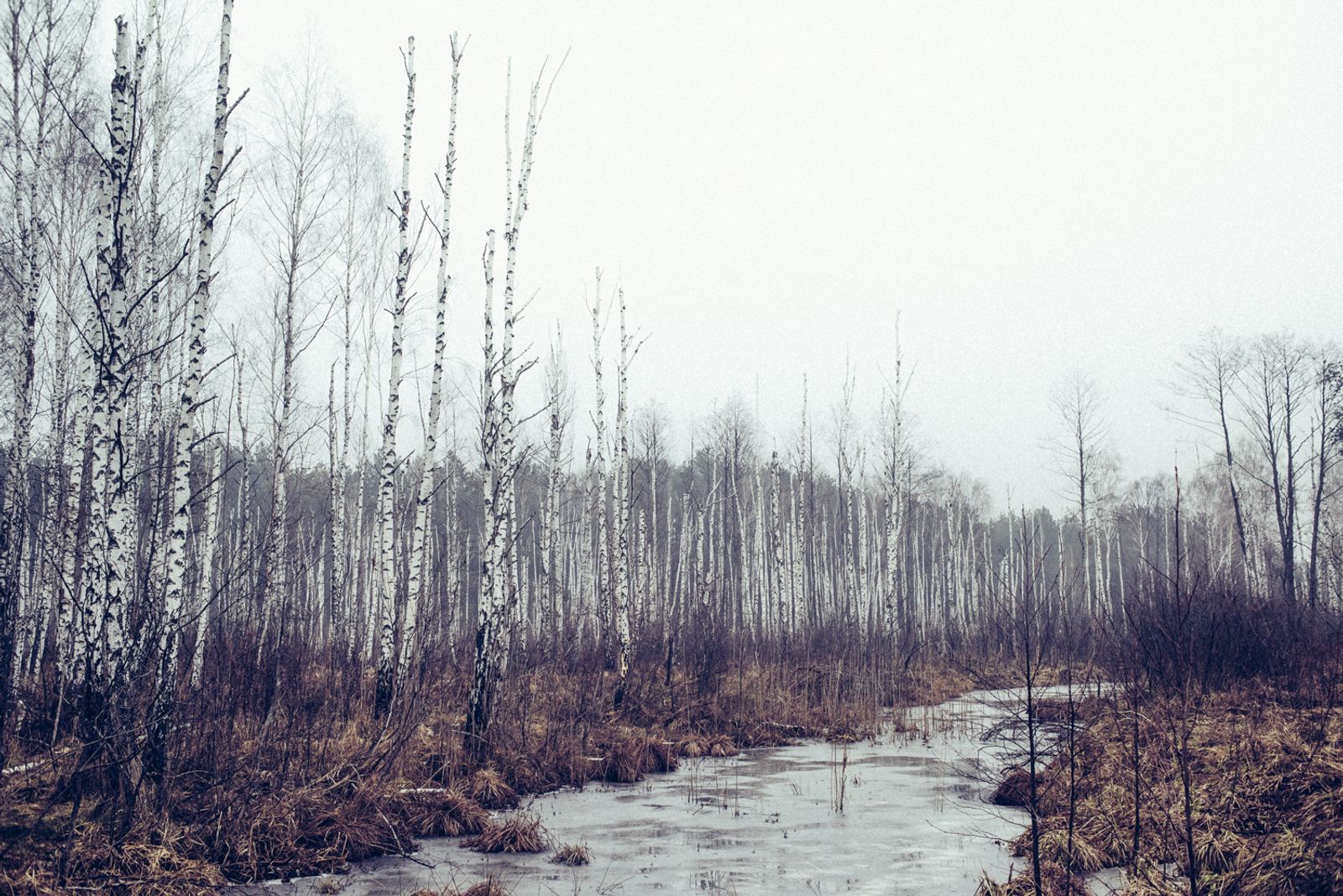 Revisiting the Recent History of Chernobyl - PhMuseum