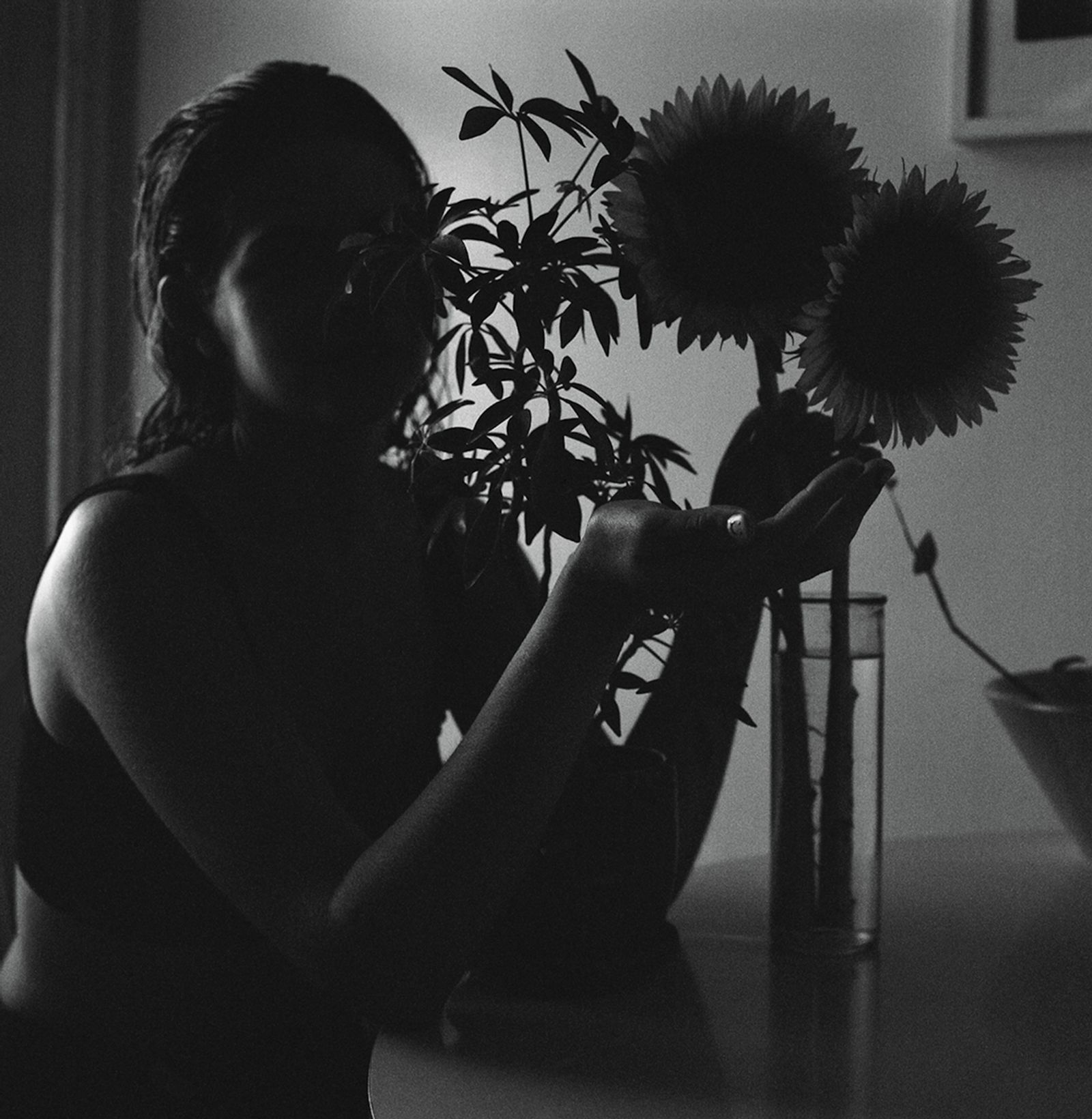 Imagery of a Profoundly Emotional Landscape - PhMuseum