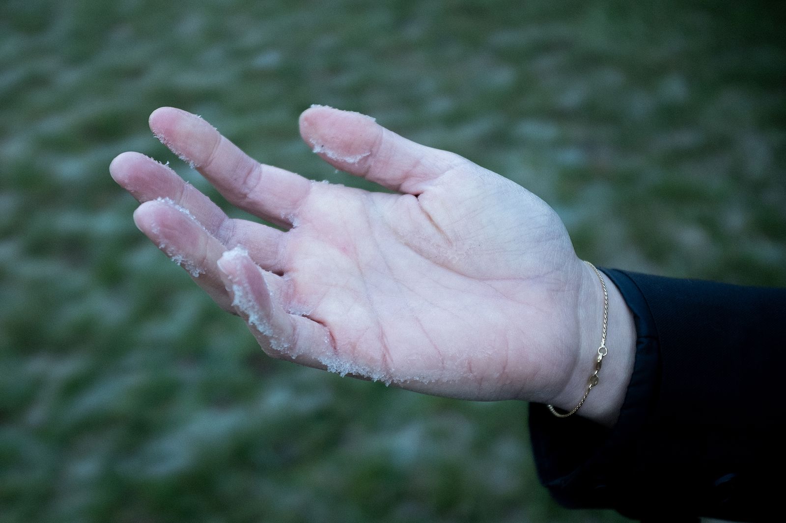 New Collective Exhibition Opening at PhMuseum Lab on 24 November - PhMuseum