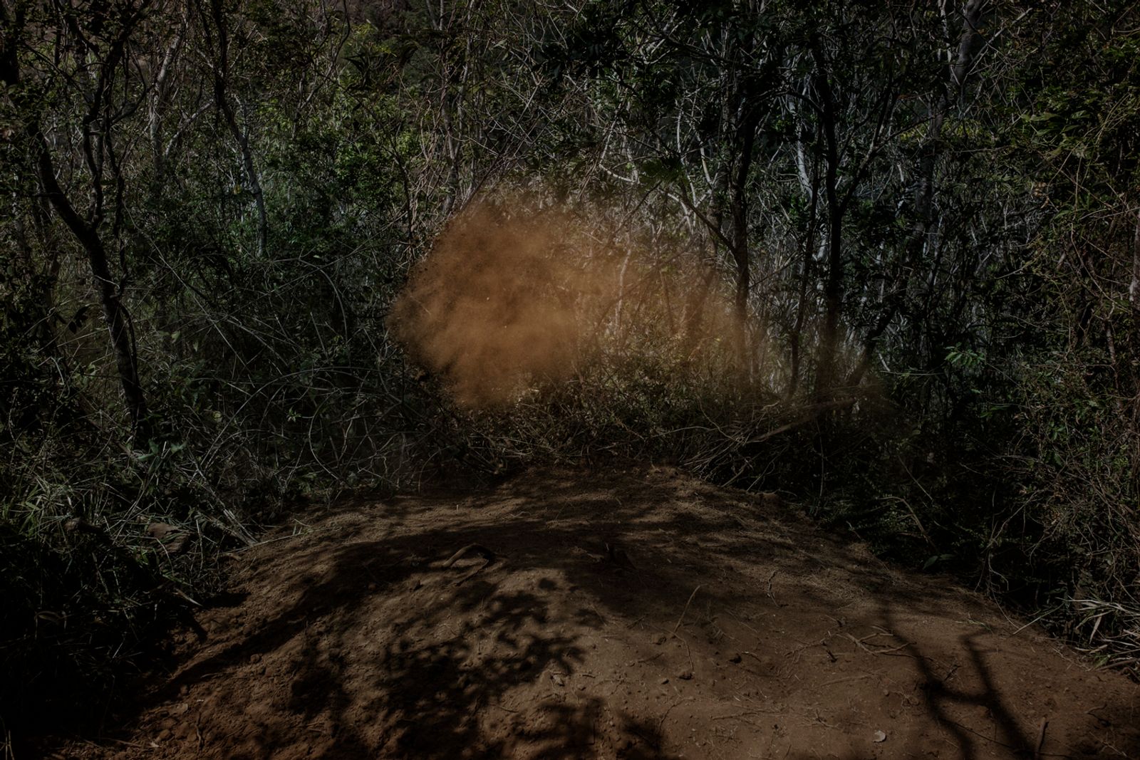 A Dark Tale of Violence in Central America’s Northern Triangle - PhMuseum