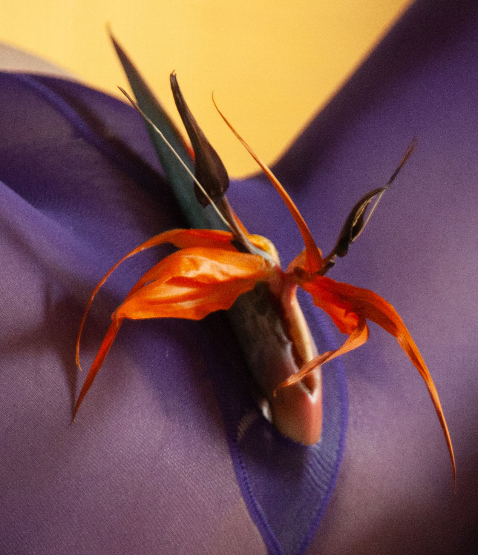 Birth of mother 2022 - PhMuseum