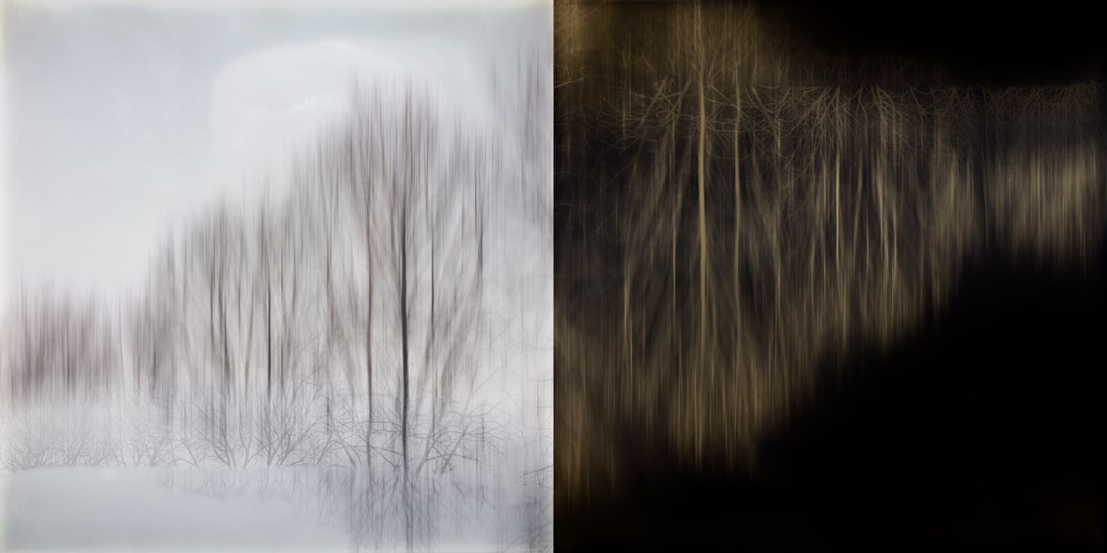 Hamadryádes - PhMuseum