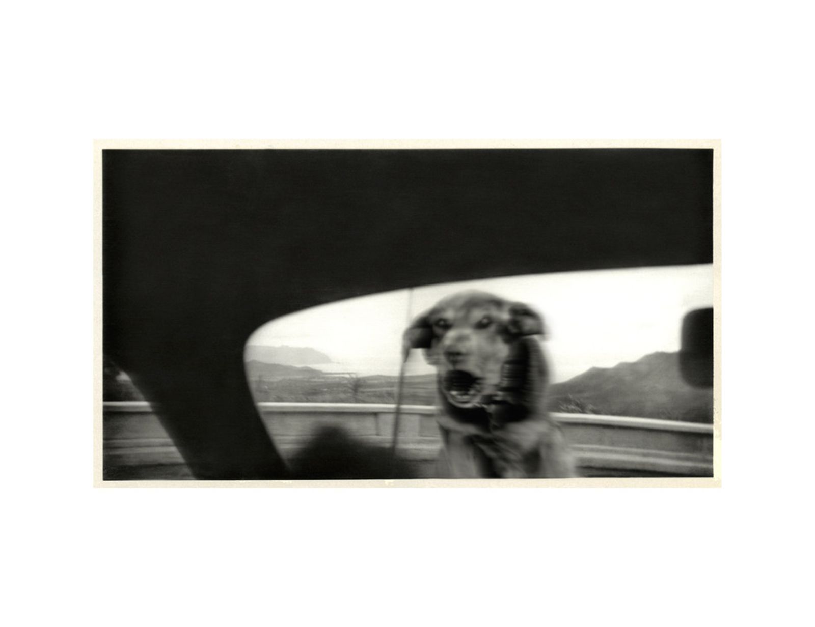 Man Lives Through Plutonium Blast - PhMuseum