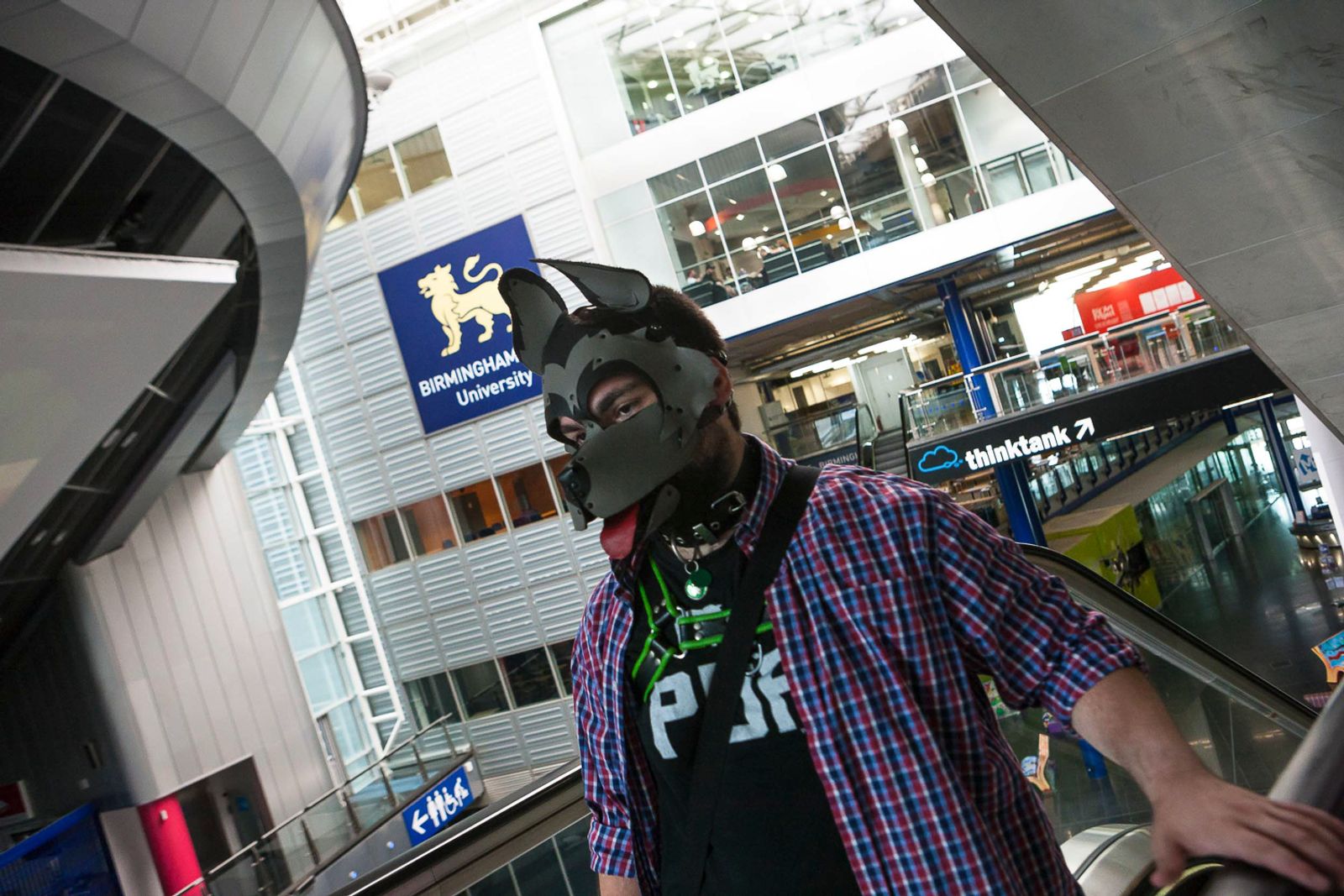 Human PUPS - PhMuseum