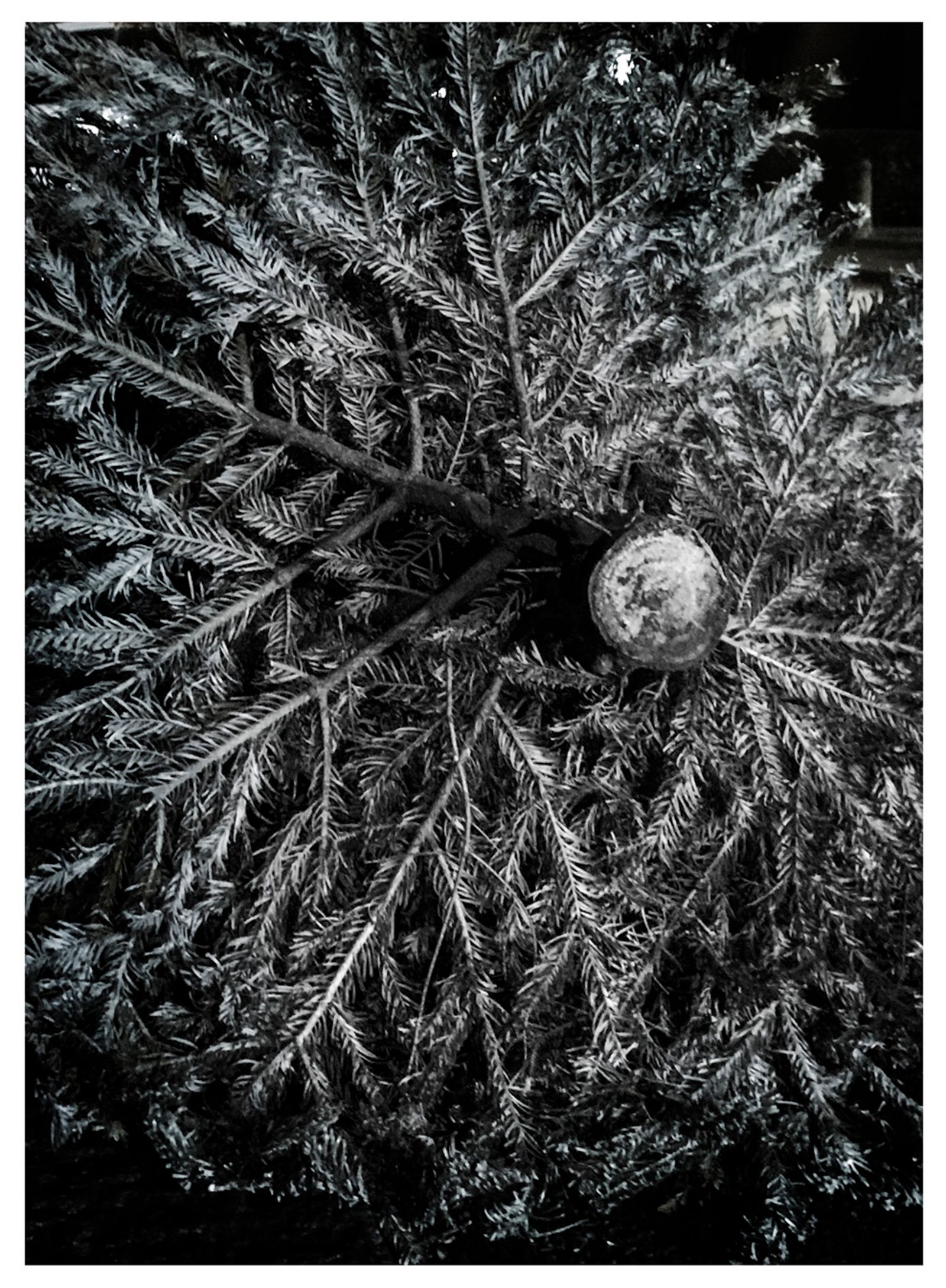 Between being and nothingness - PhMuseum