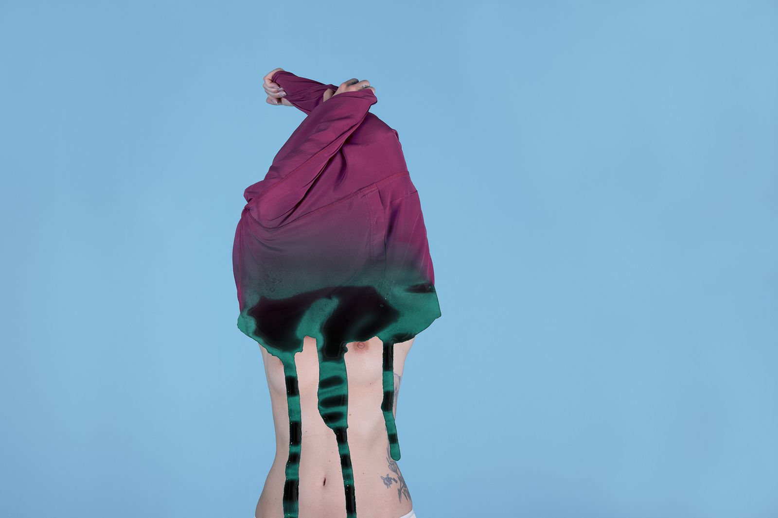 Human Segments - PhMuseum