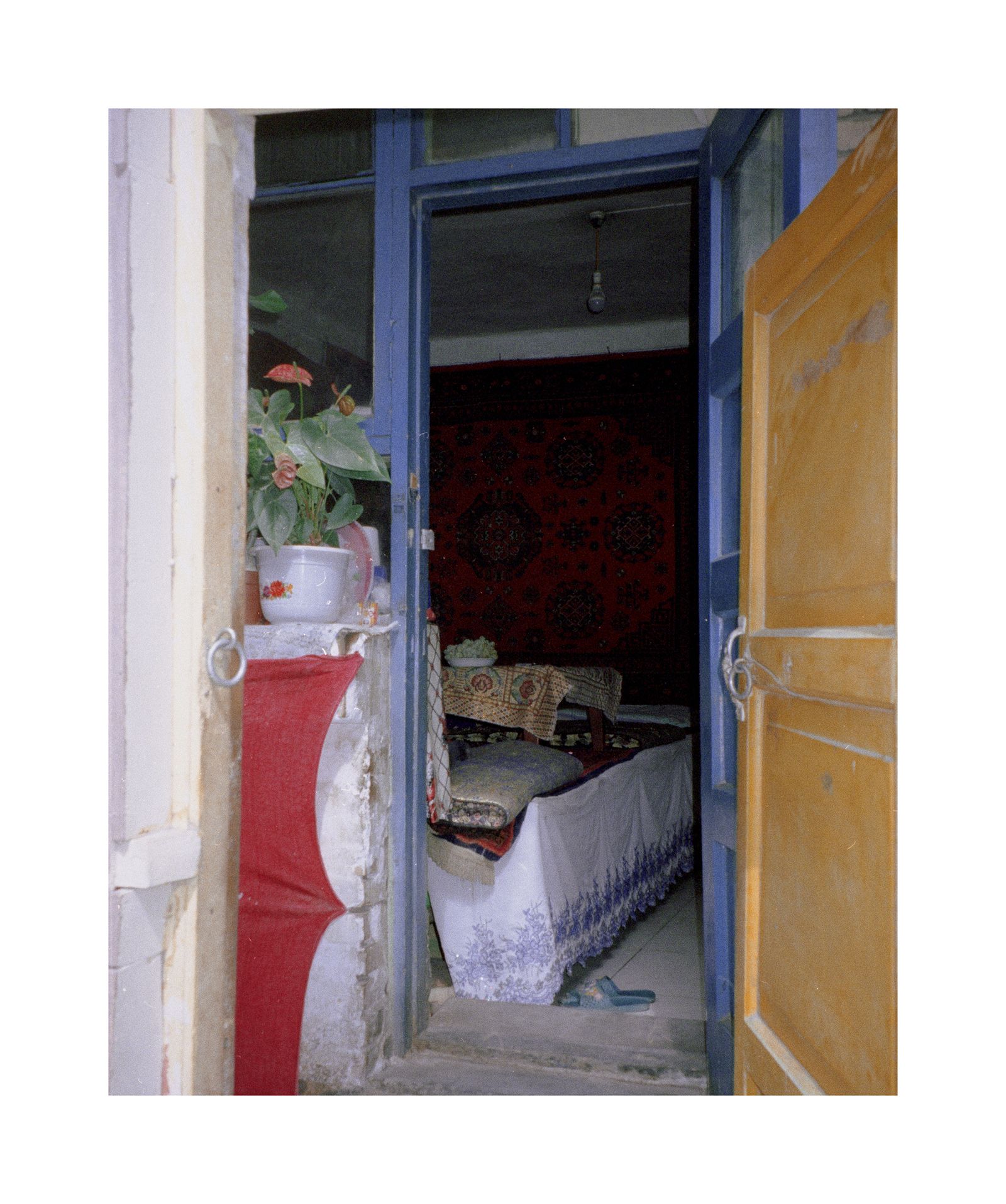 ___Protagonist - PhMuseum