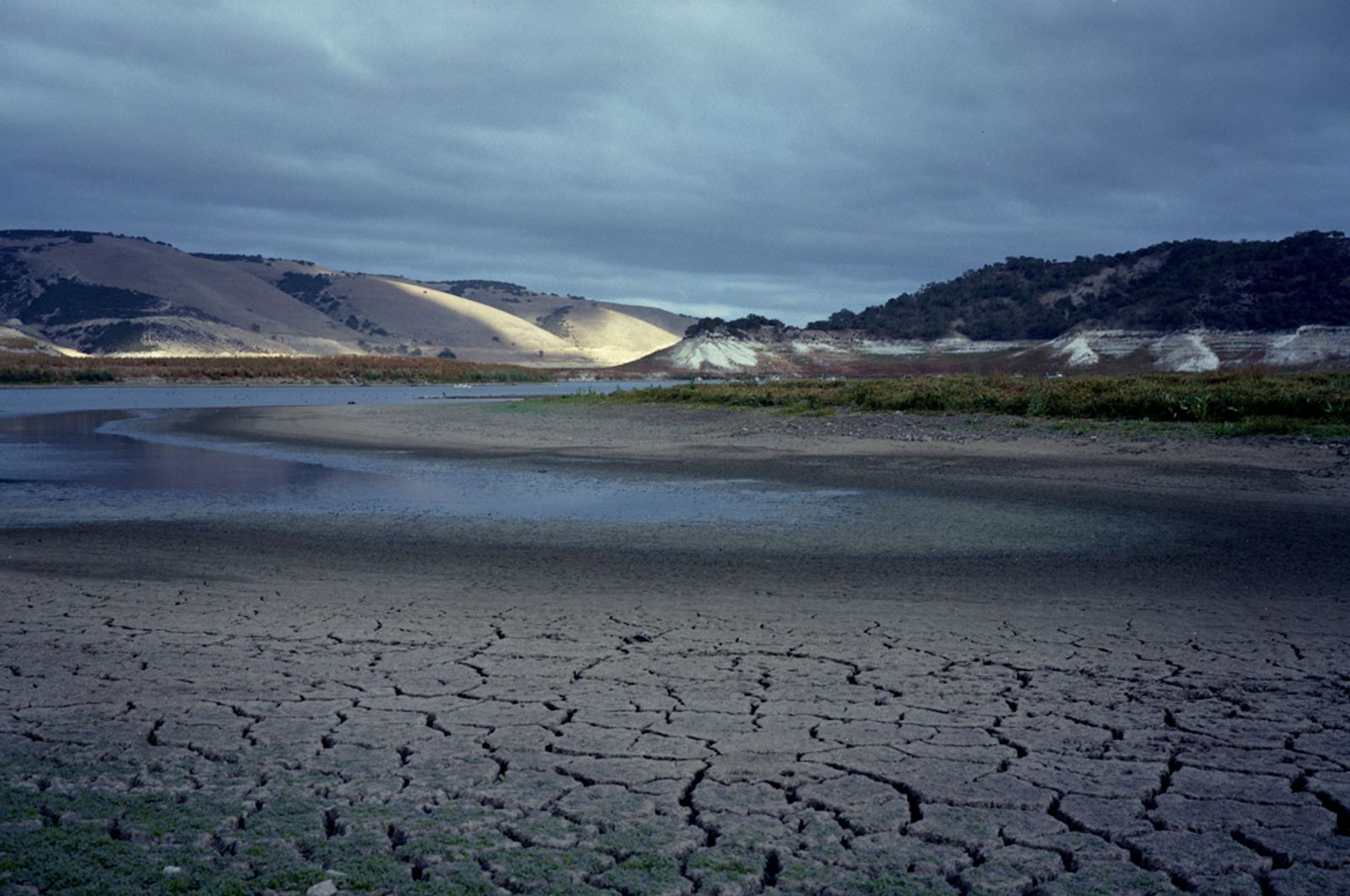 Exploring the Effects of California's Water Crisis - PhMuseum