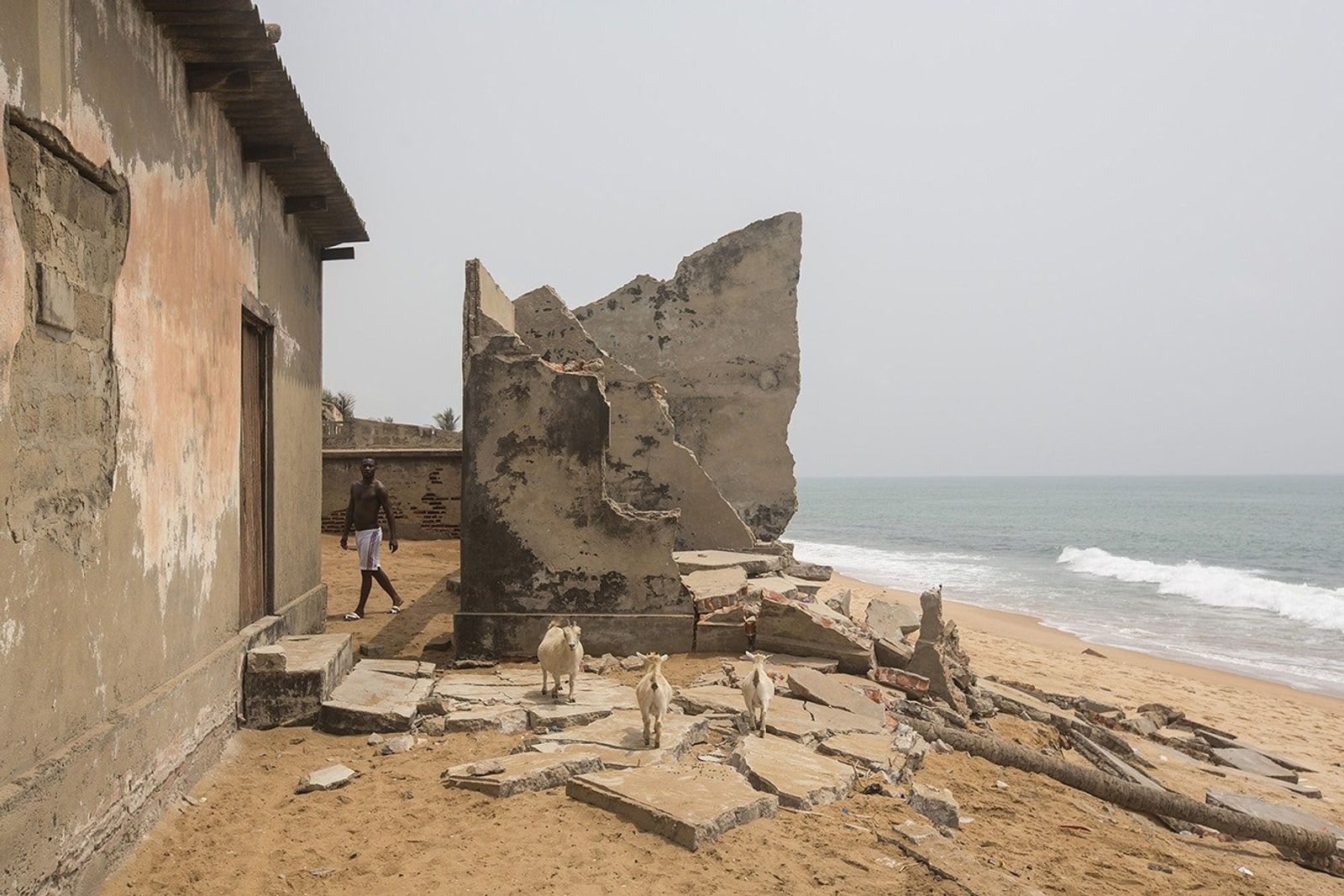 Man-made Environmental Disorders - PhMuseum