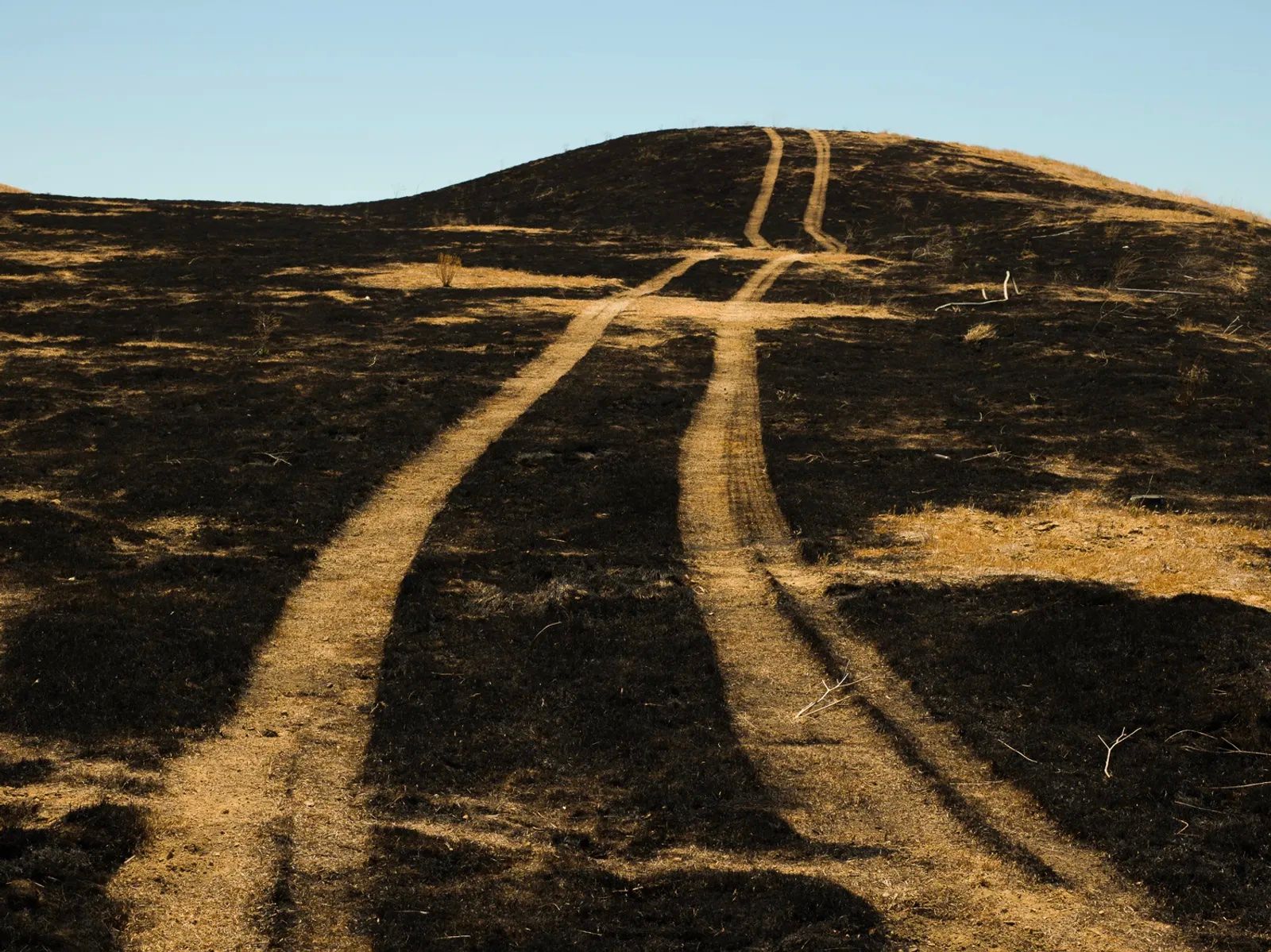 Christopher Valentine's Perspective on Humans' Power over Nature - PhMuseum