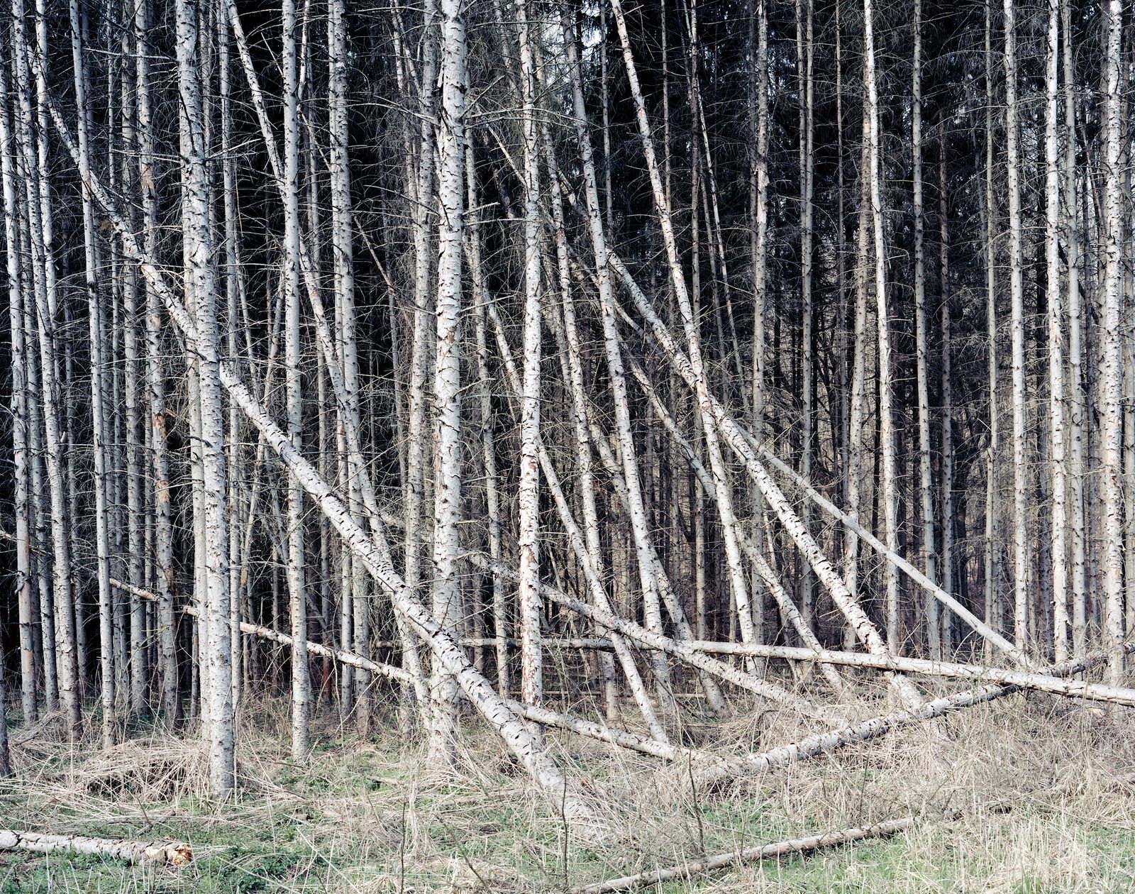 An Infernal Play - PhMuseum