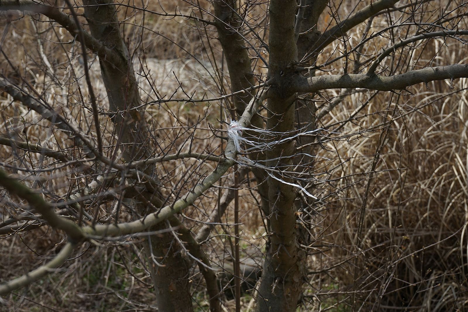 internal notebook - PhMuseum