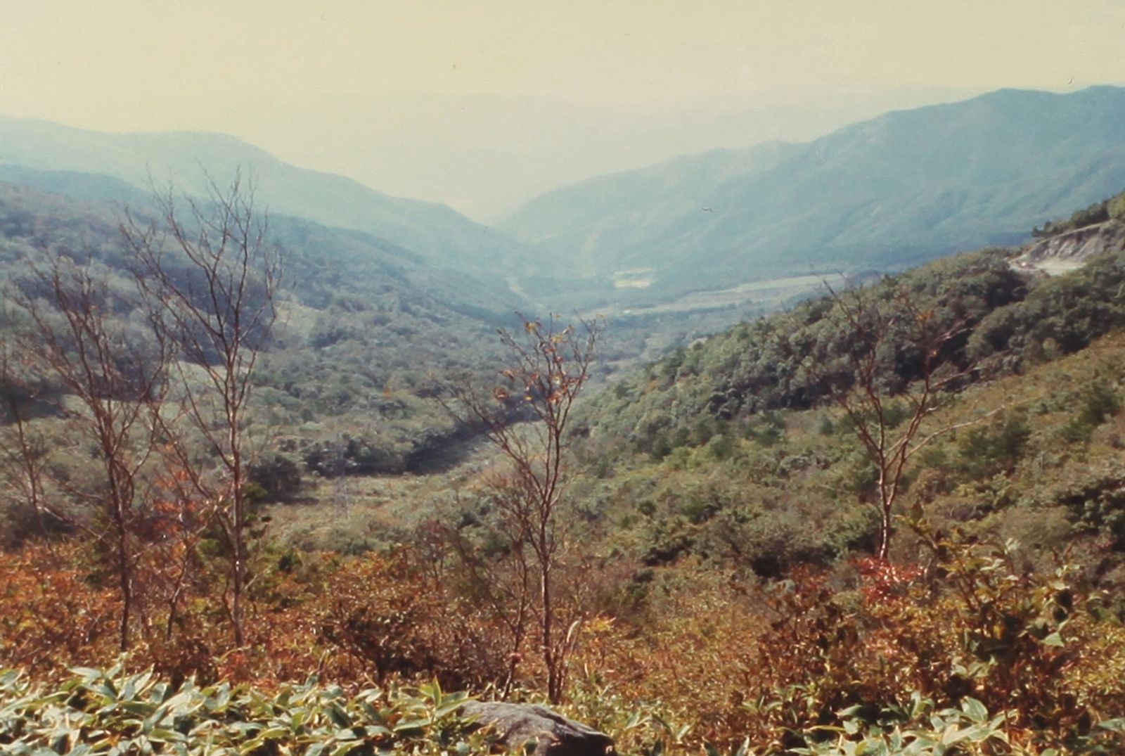 internal notebook - PhMuseum