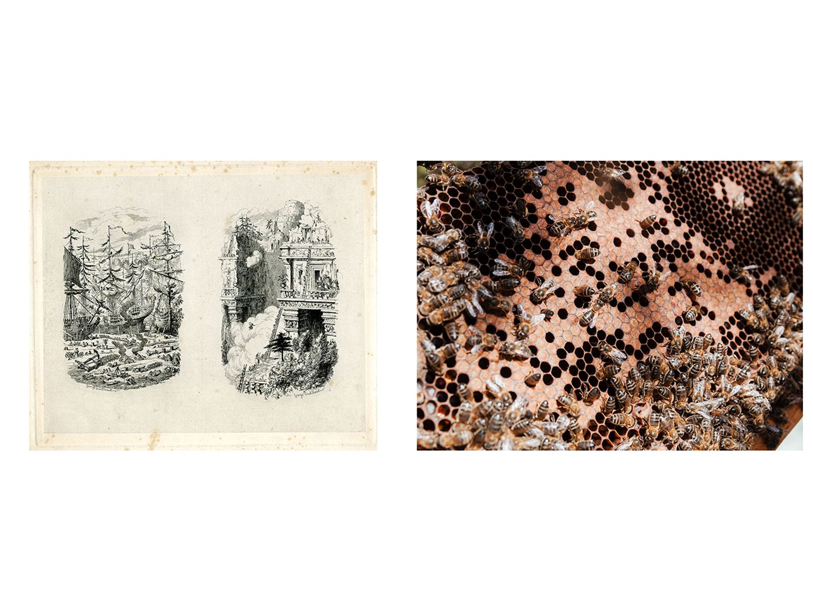 To make a prairie - PhMuseum