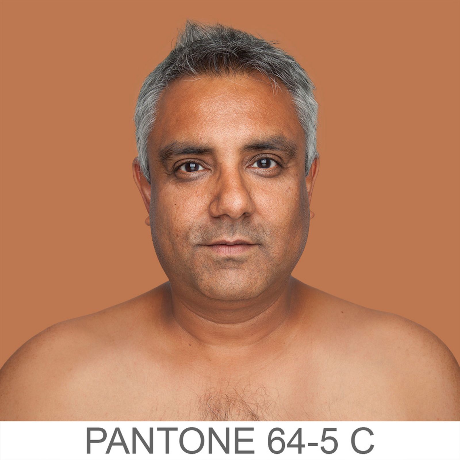 Humanae ( work in progress) - PhMuseum