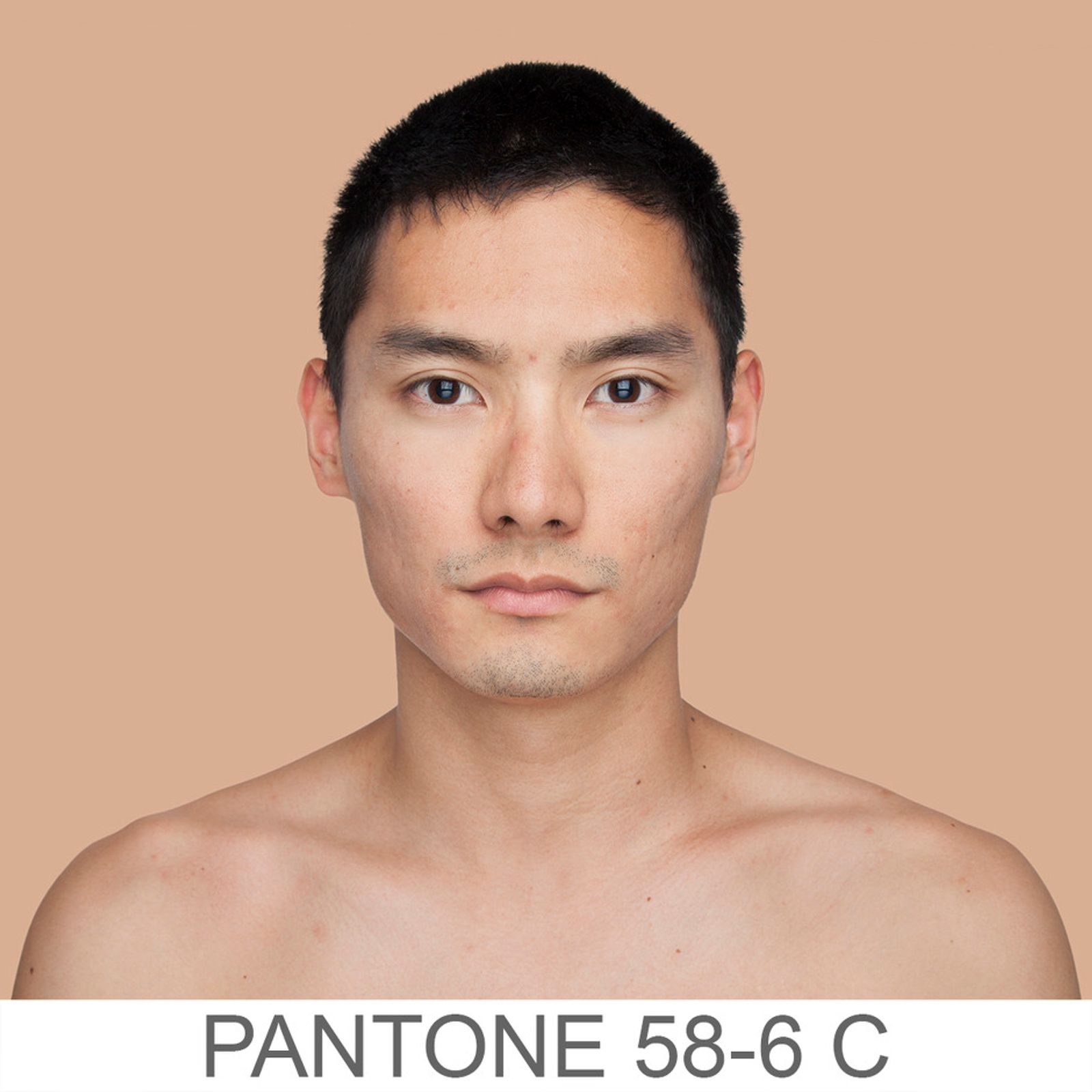 Humanae ( work in progress) - PhMuseum