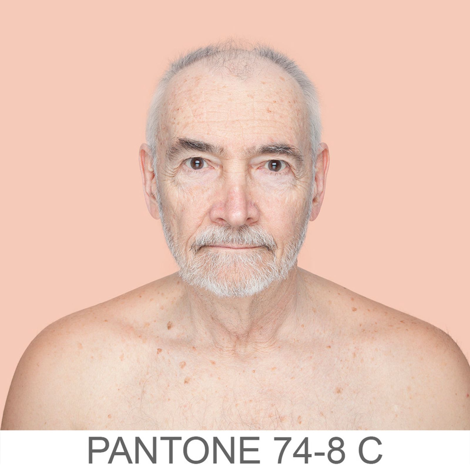 Humanae ( work in progress) - PhMuseum