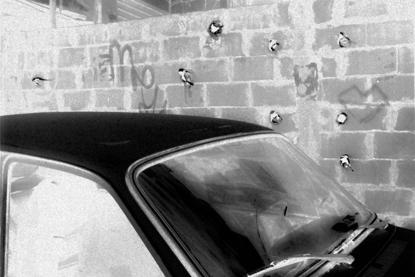 The Circular Ruins - PhMuseum