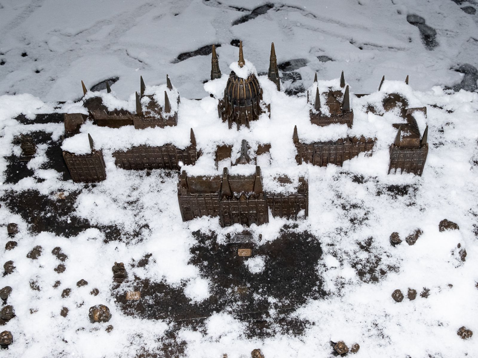 Two tailed dog - PhMuseum