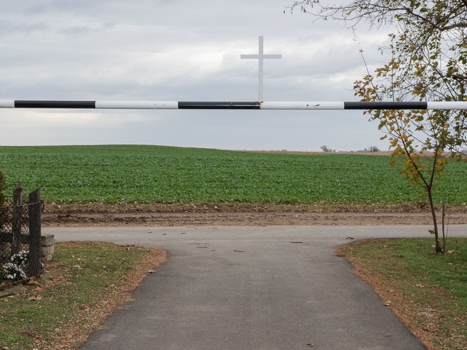 Two tailed dog - PhMuseum