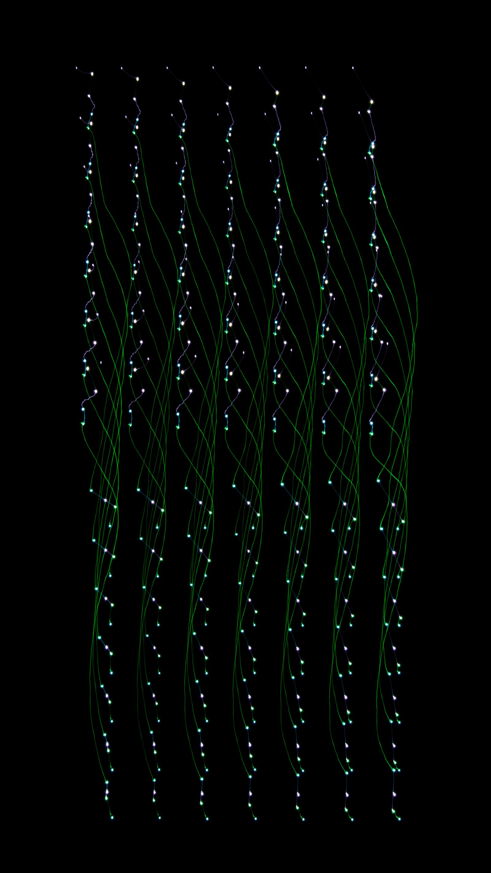 The Divergent Image - PhMuseum