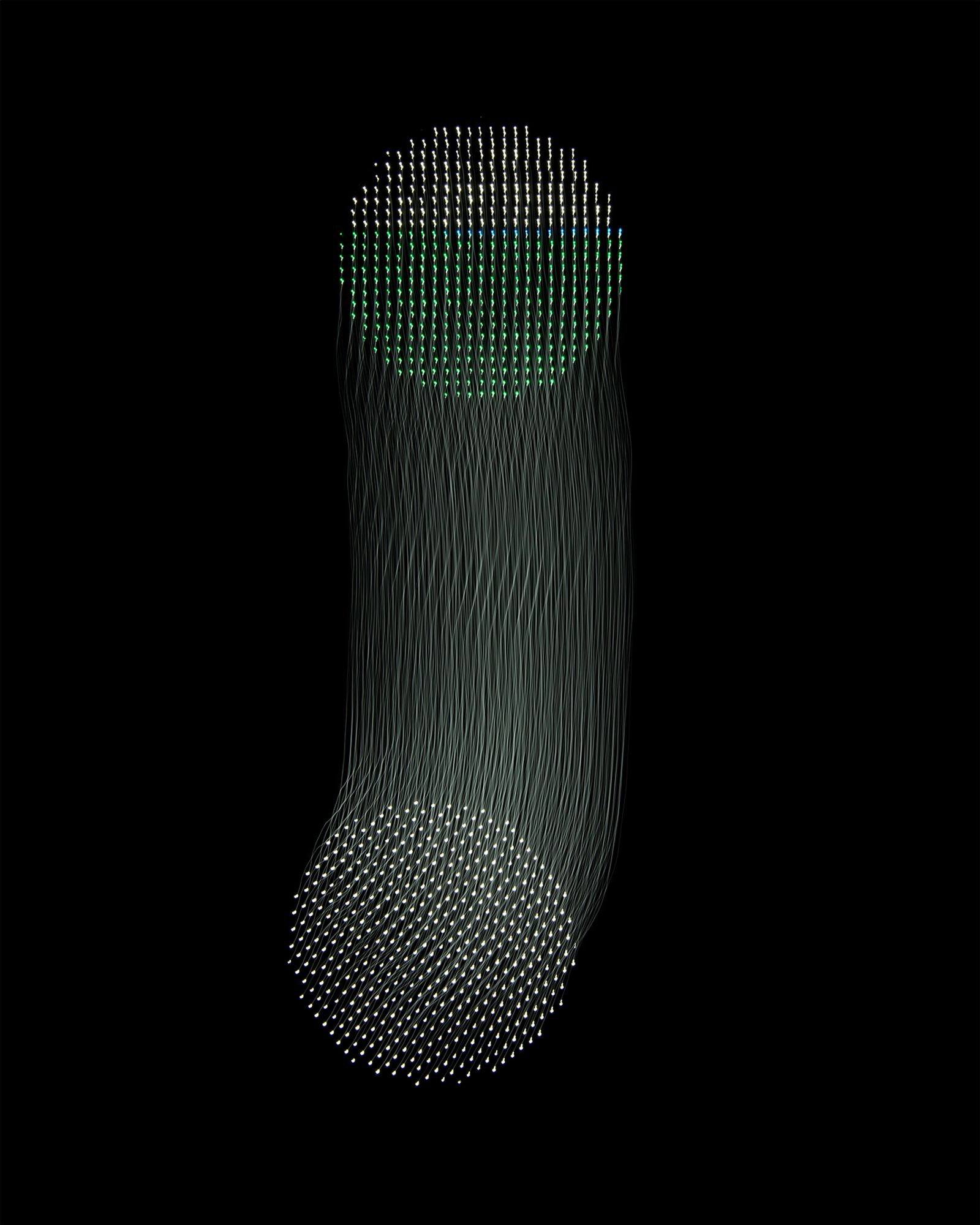 The Divergent Image - PhMuseum