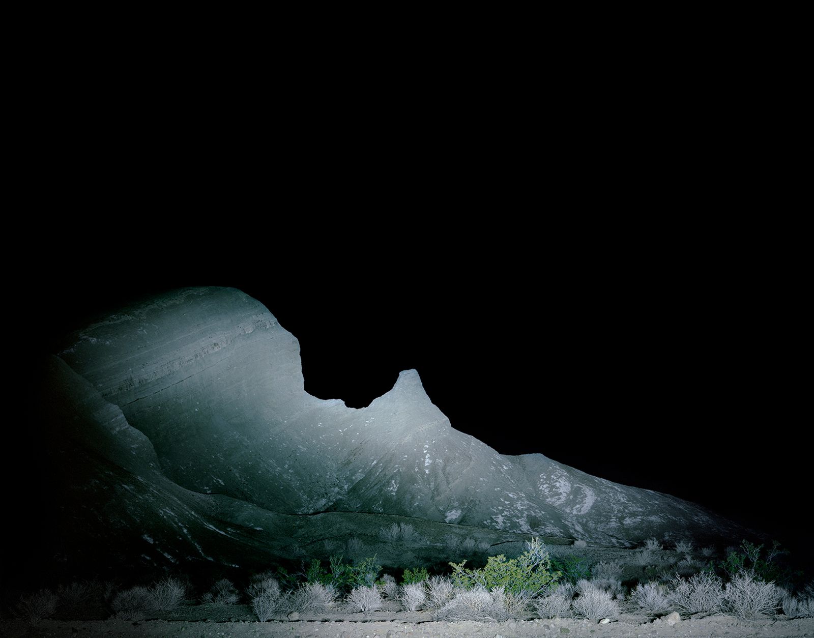 ROCK SAFARI - PhMuseum