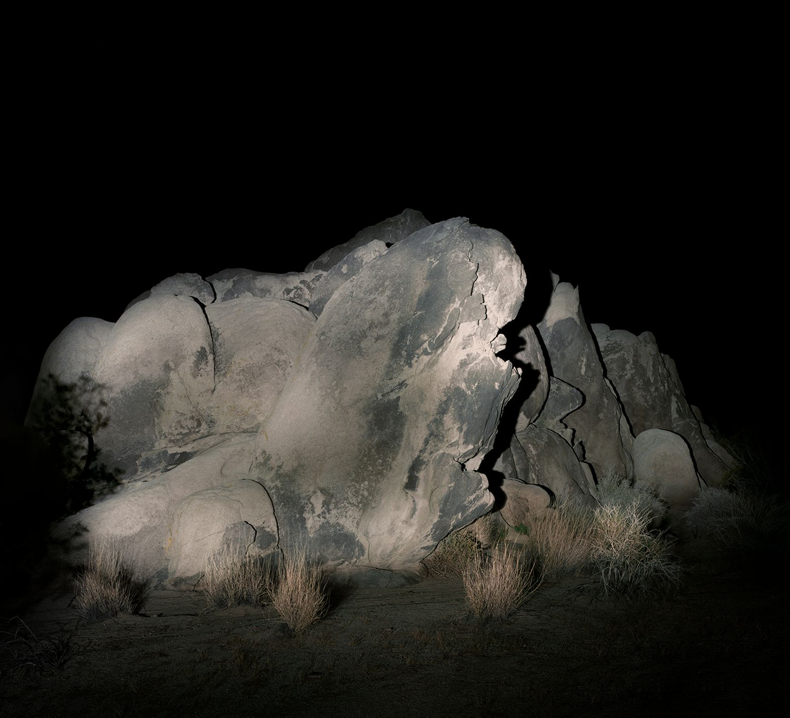 ROCK SAFARI - PhMuseum