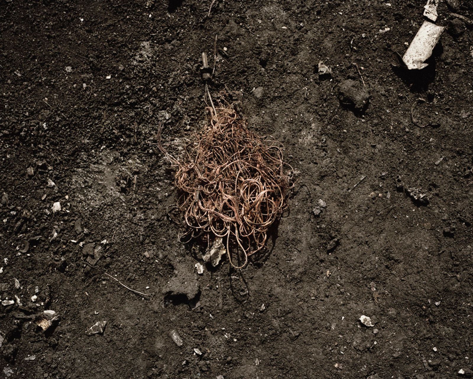 BIT ROT Project - PhMuseum