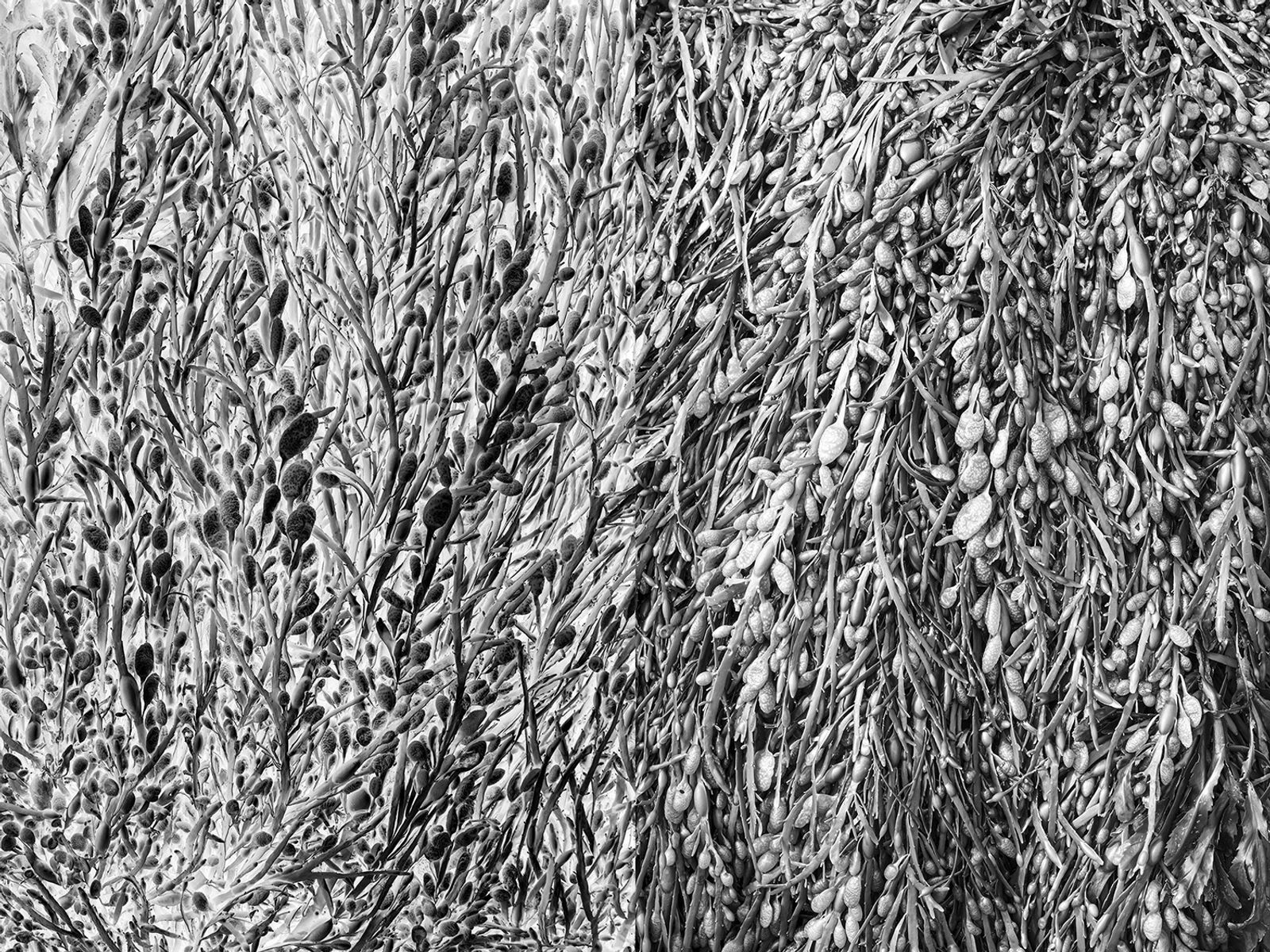 The inverted world - PhMuseum