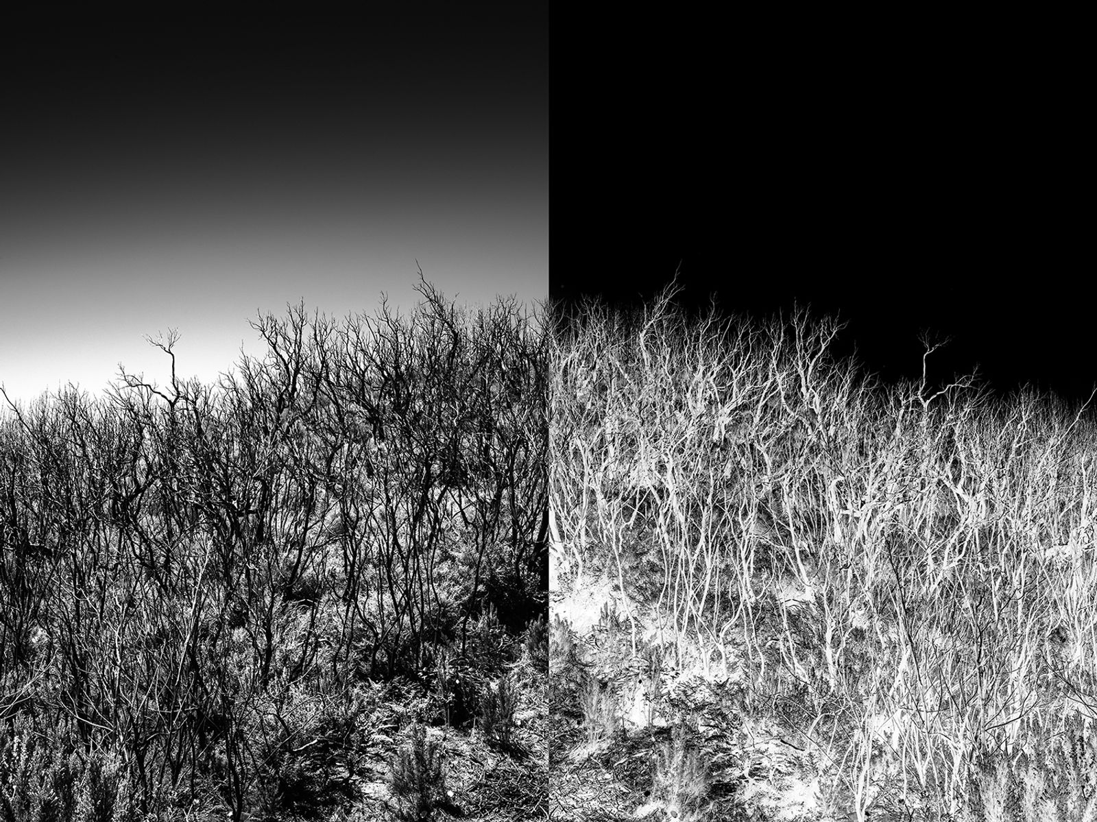 The inverted world - PhMuseum