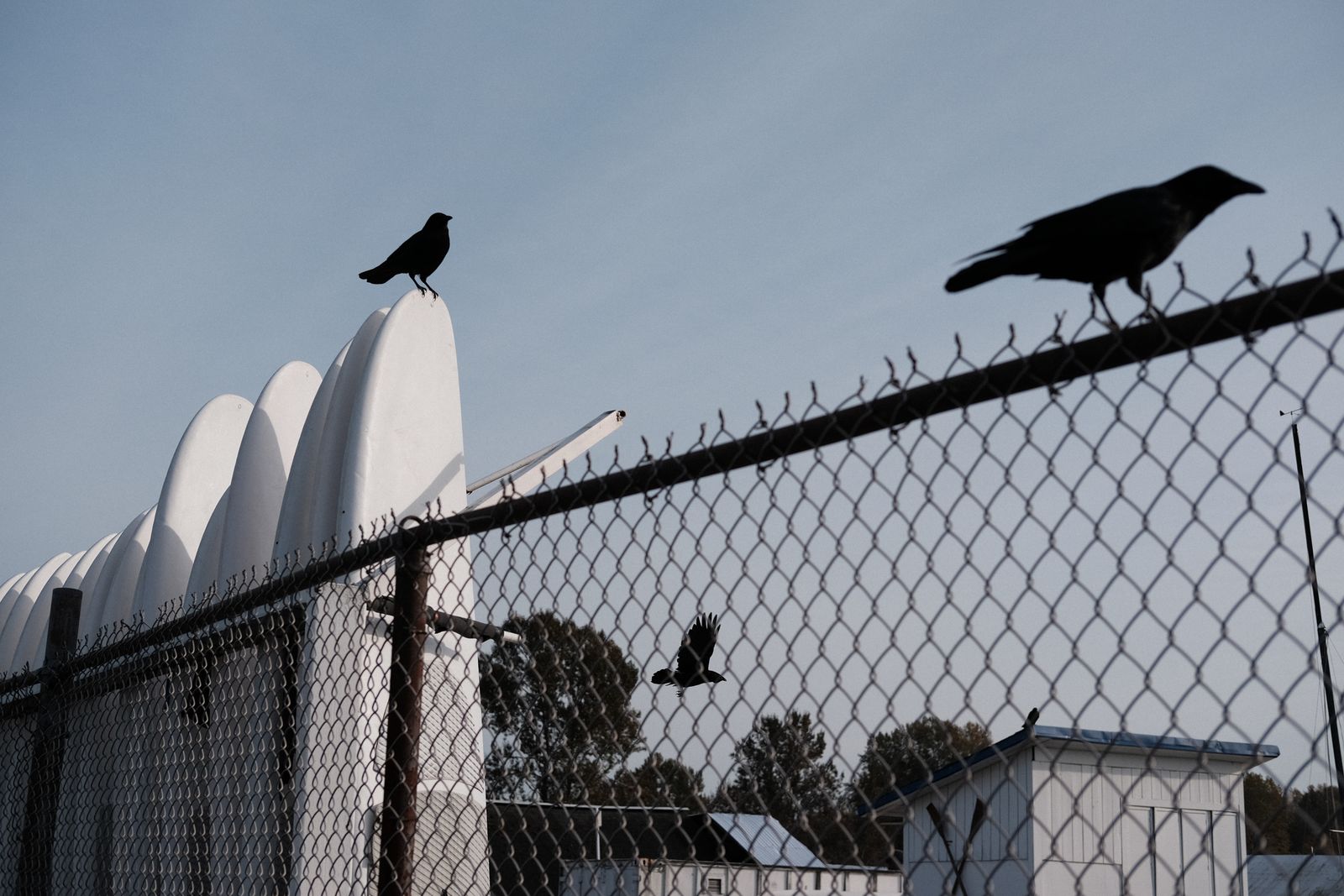 Reverence - PhMuseum