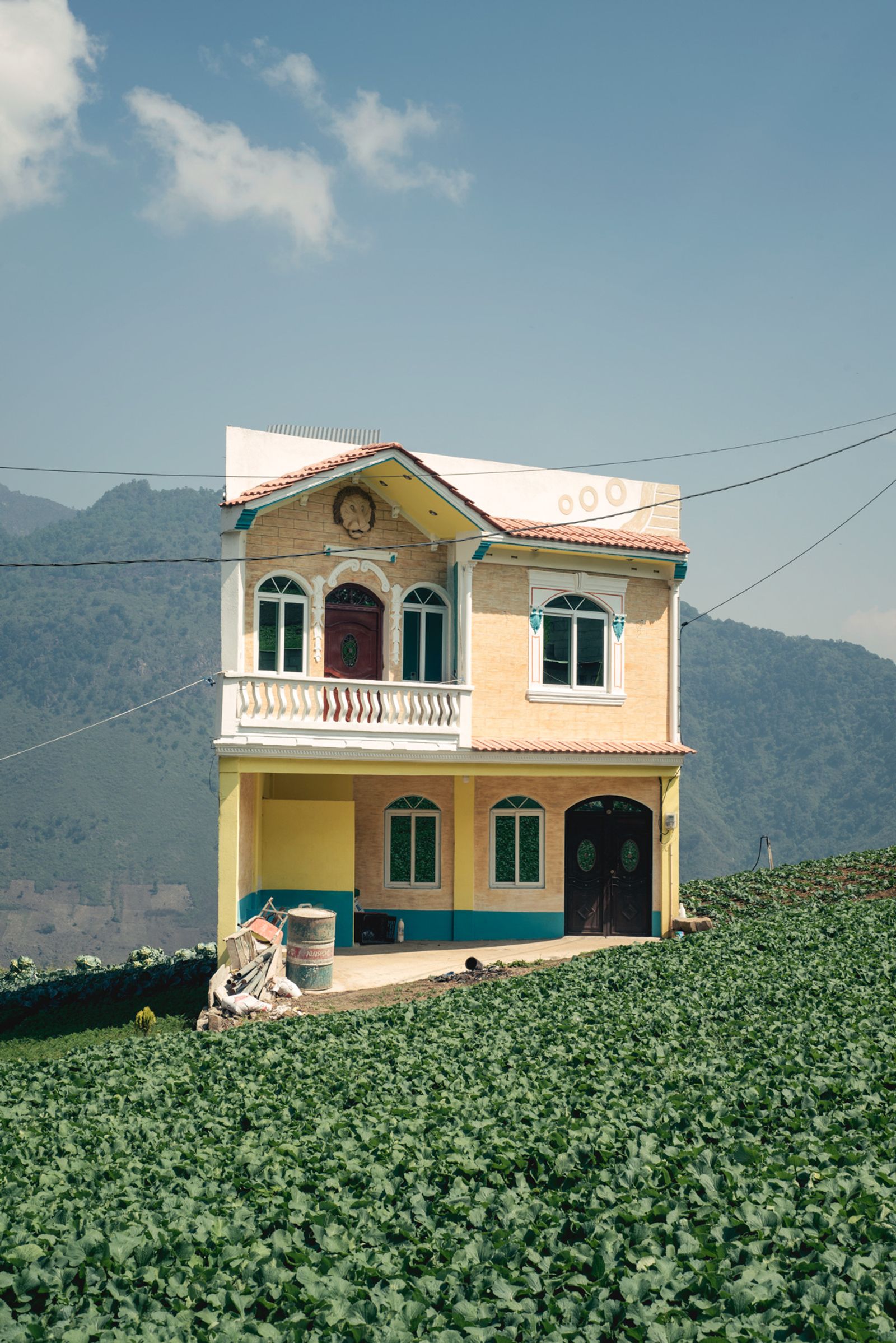 Dislocated Birds - PhMuseum