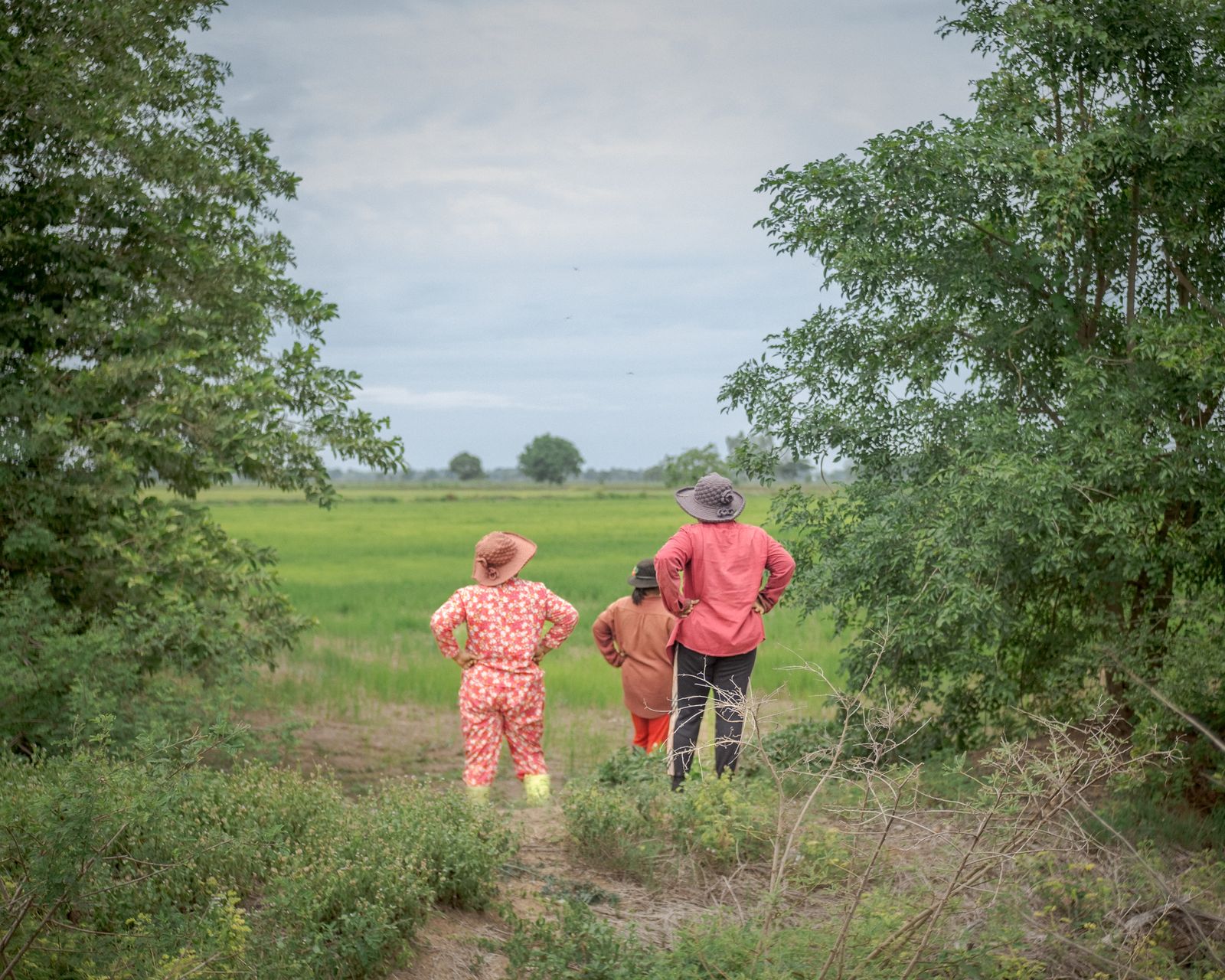 Beauty and the Pigs - PhMuseum
