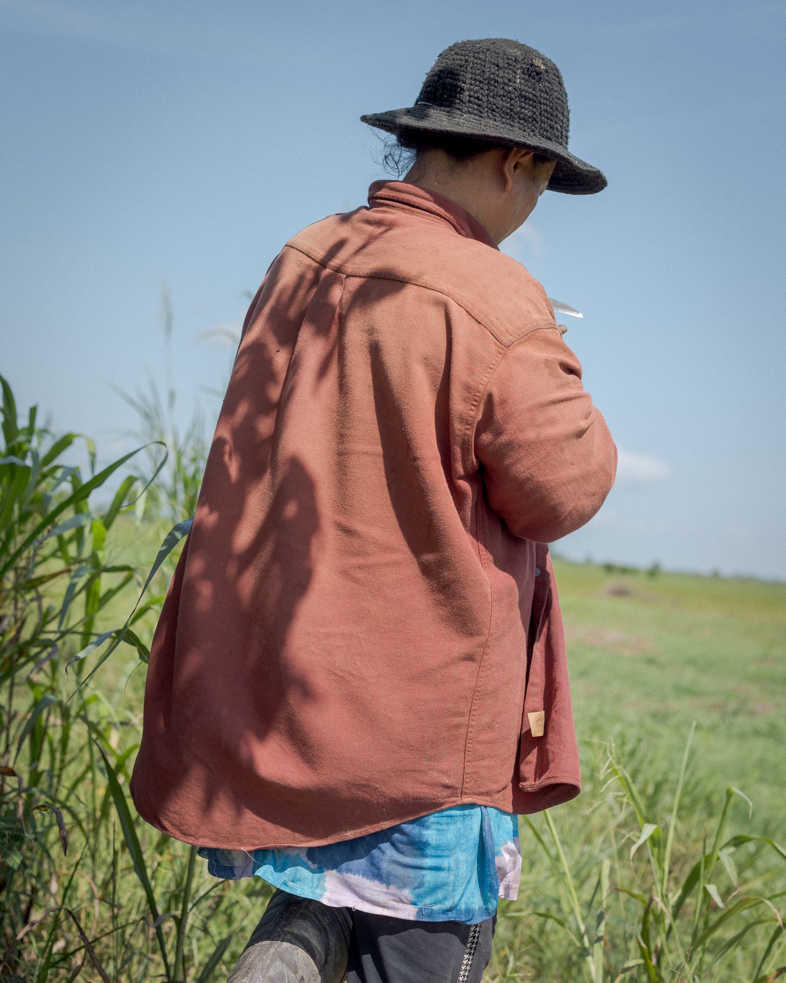 Beauty and the Pigs - PhMuseum