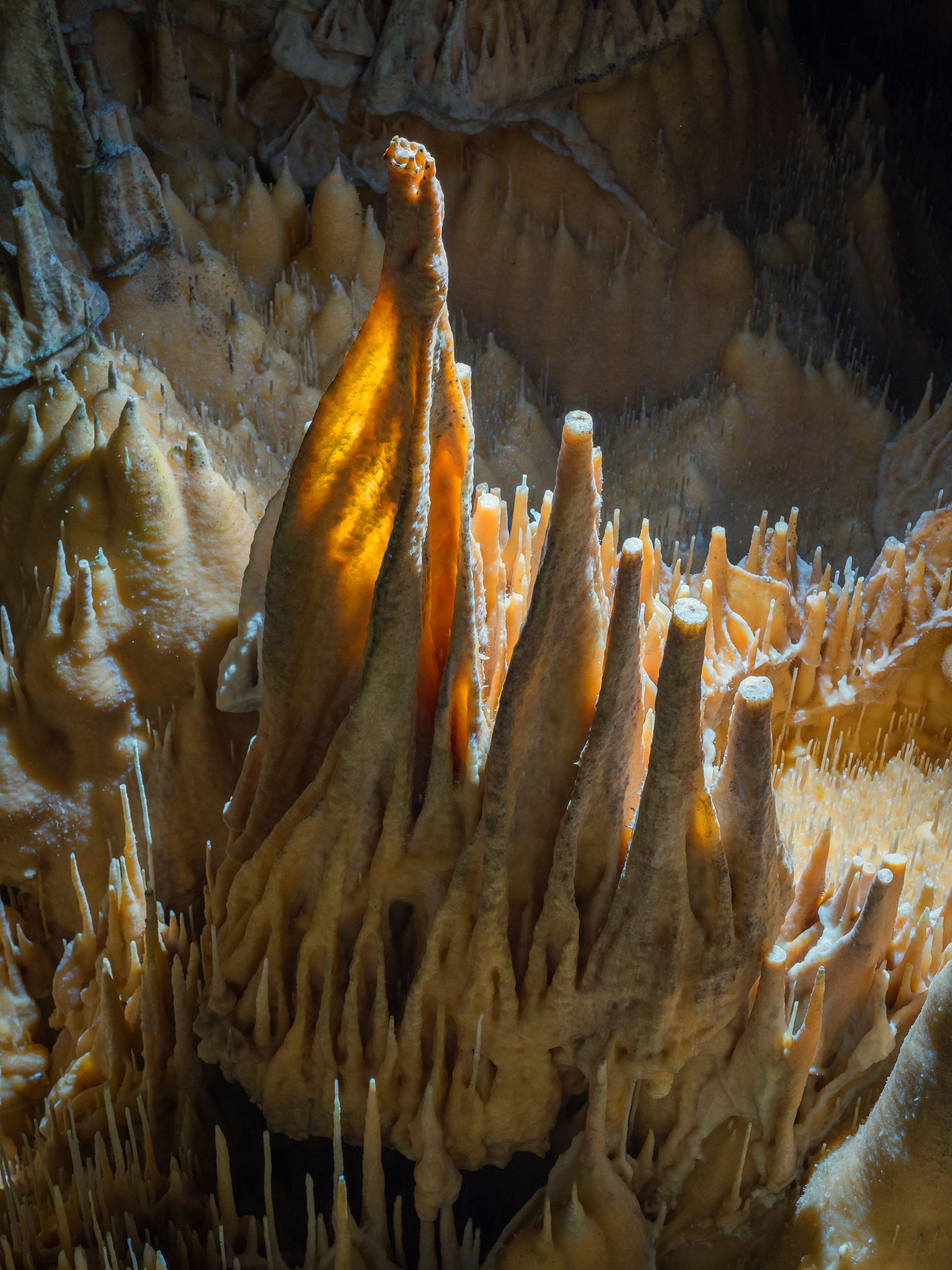 The Nameless Dread - PhMuseum