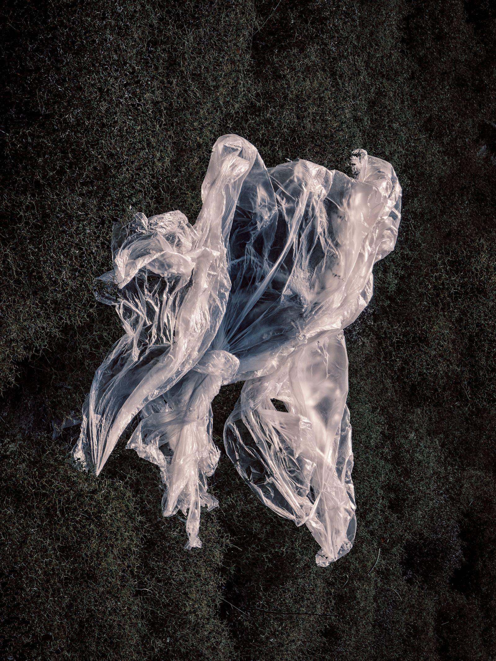 The Nameless Dread - PhMuseum