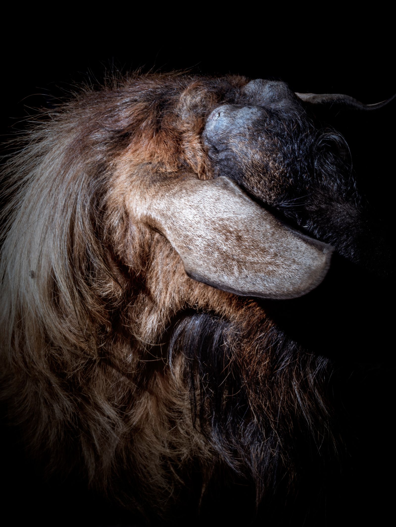 The Nameless Dread - PhMuseum