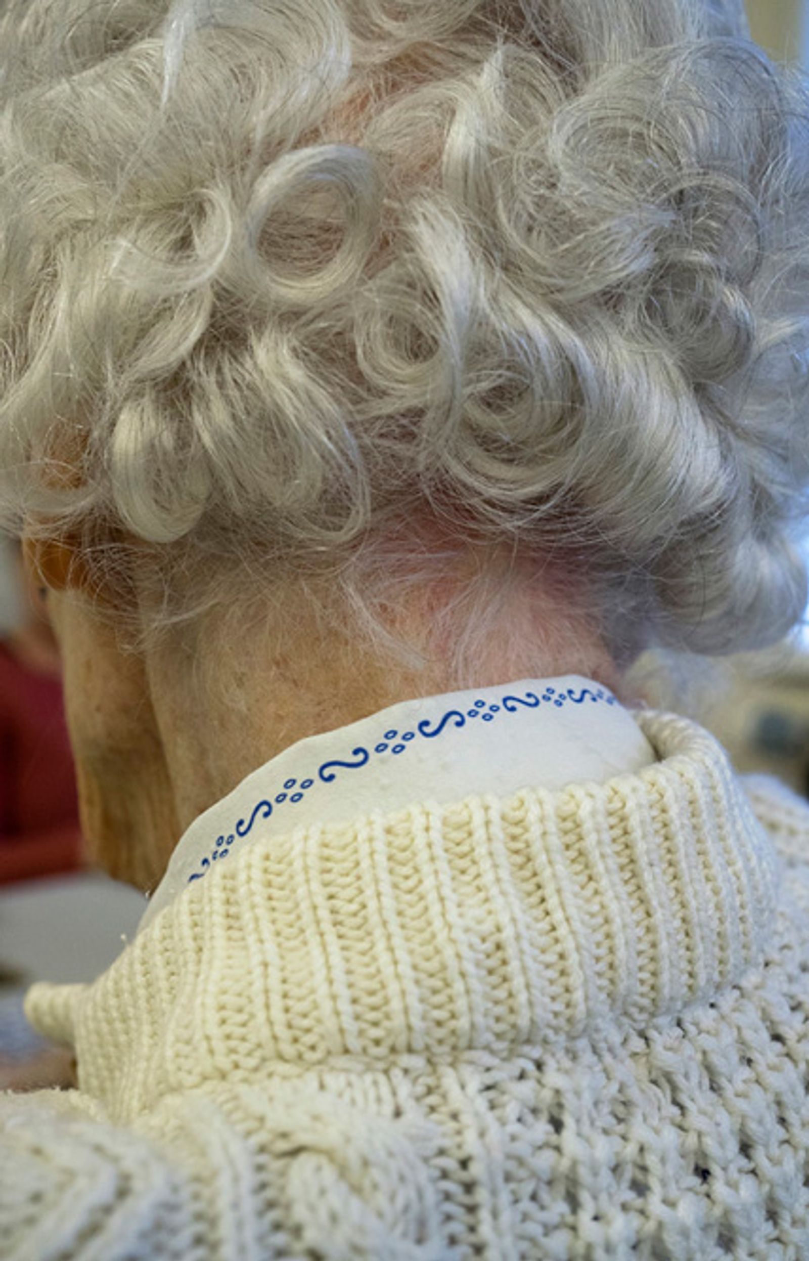 The Budgie Died Instantly - PhMuseum