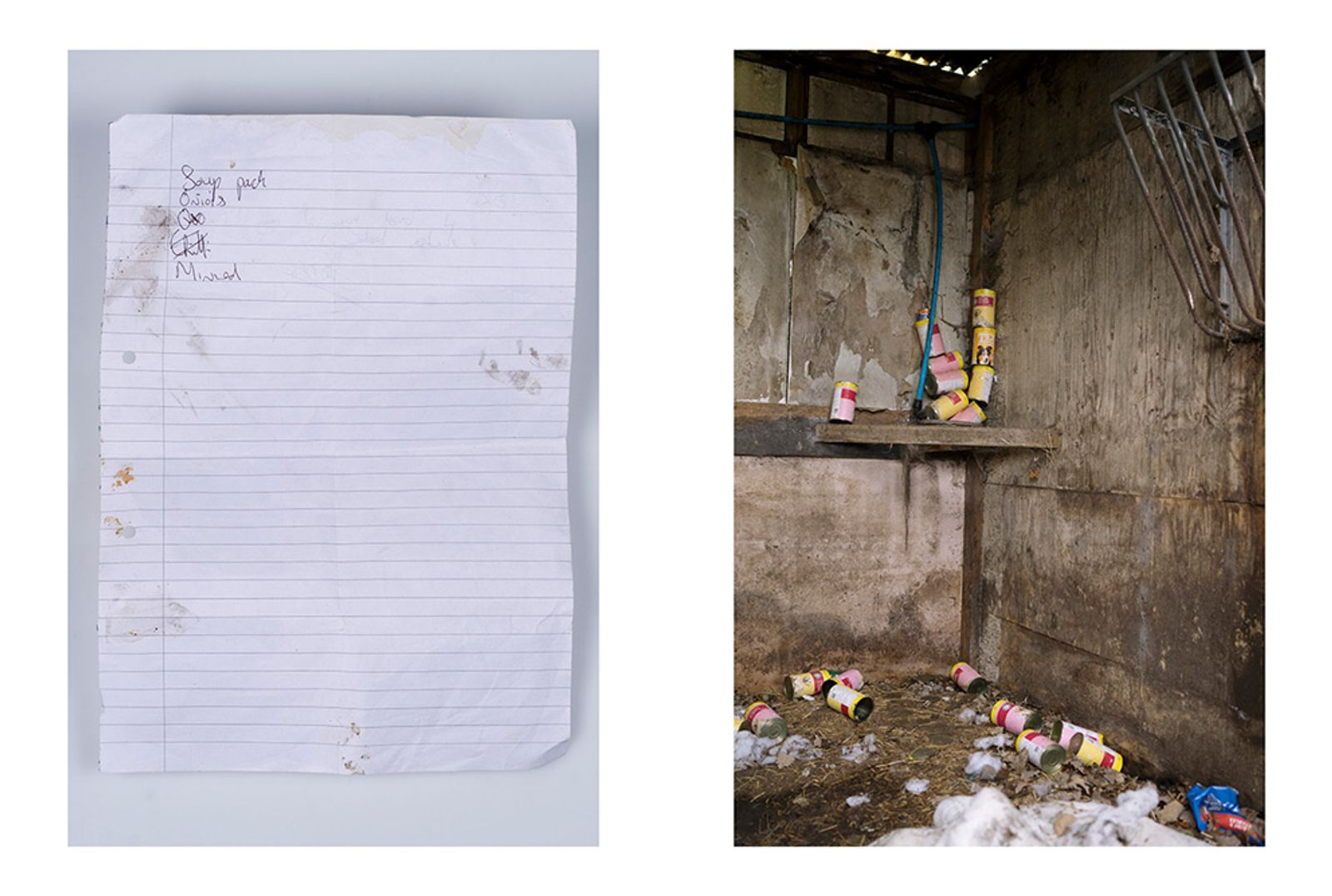 The Budgie Died Instantly - PhMuseum