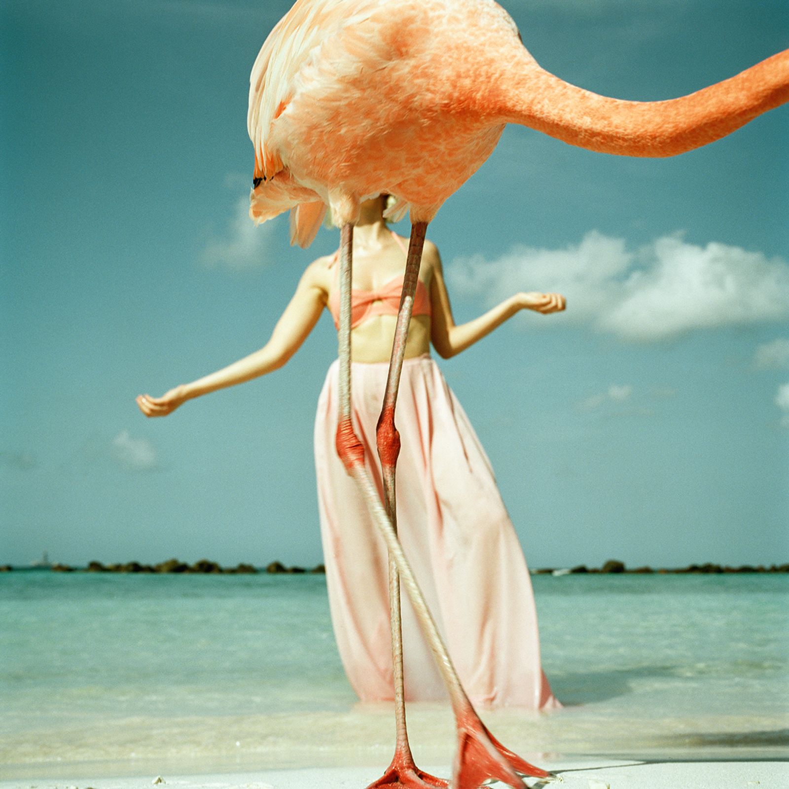 Sois Belle - PhMuseum